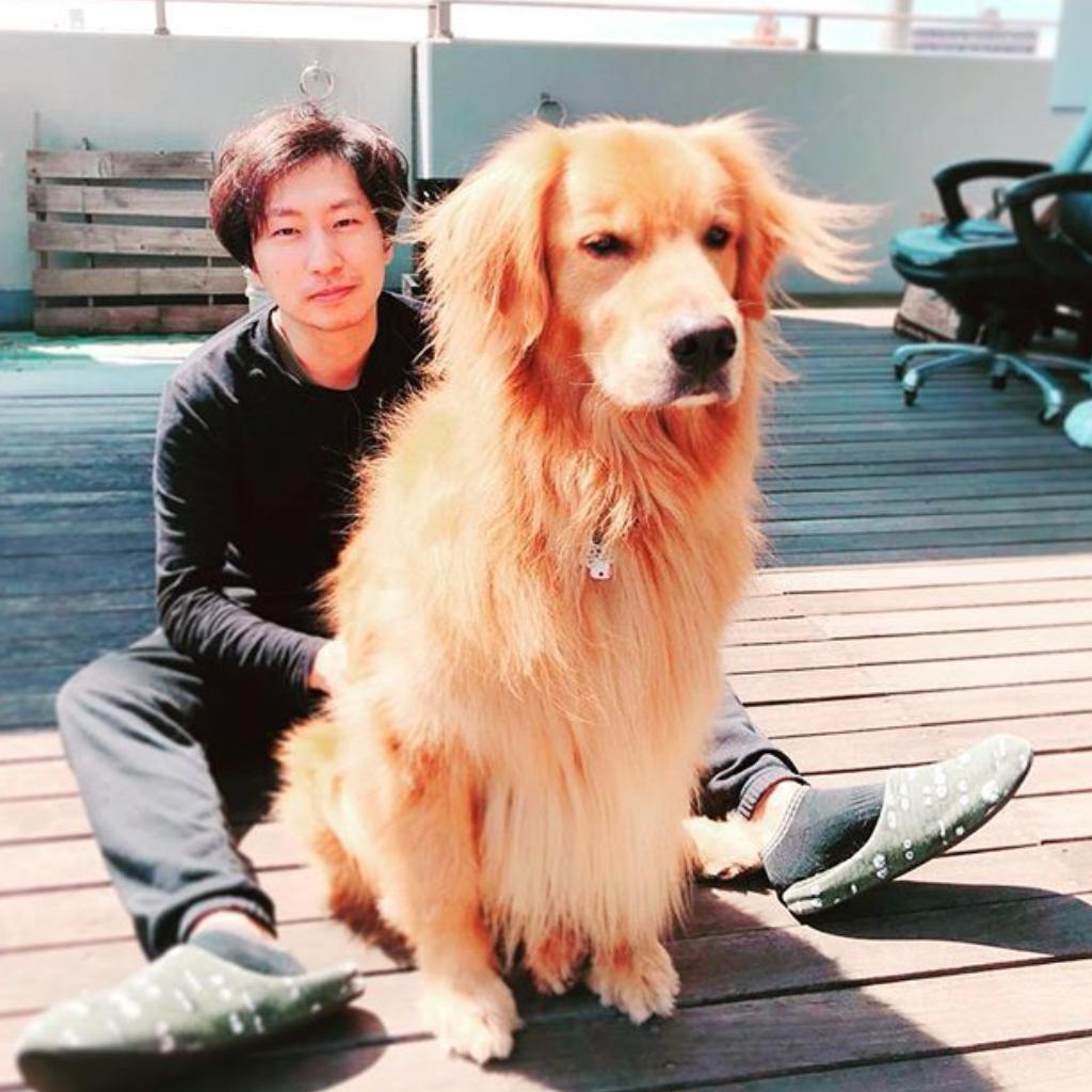 【Nhato鉴赏】日式电音的才子与典范 - 歌单 - 网易云音乐