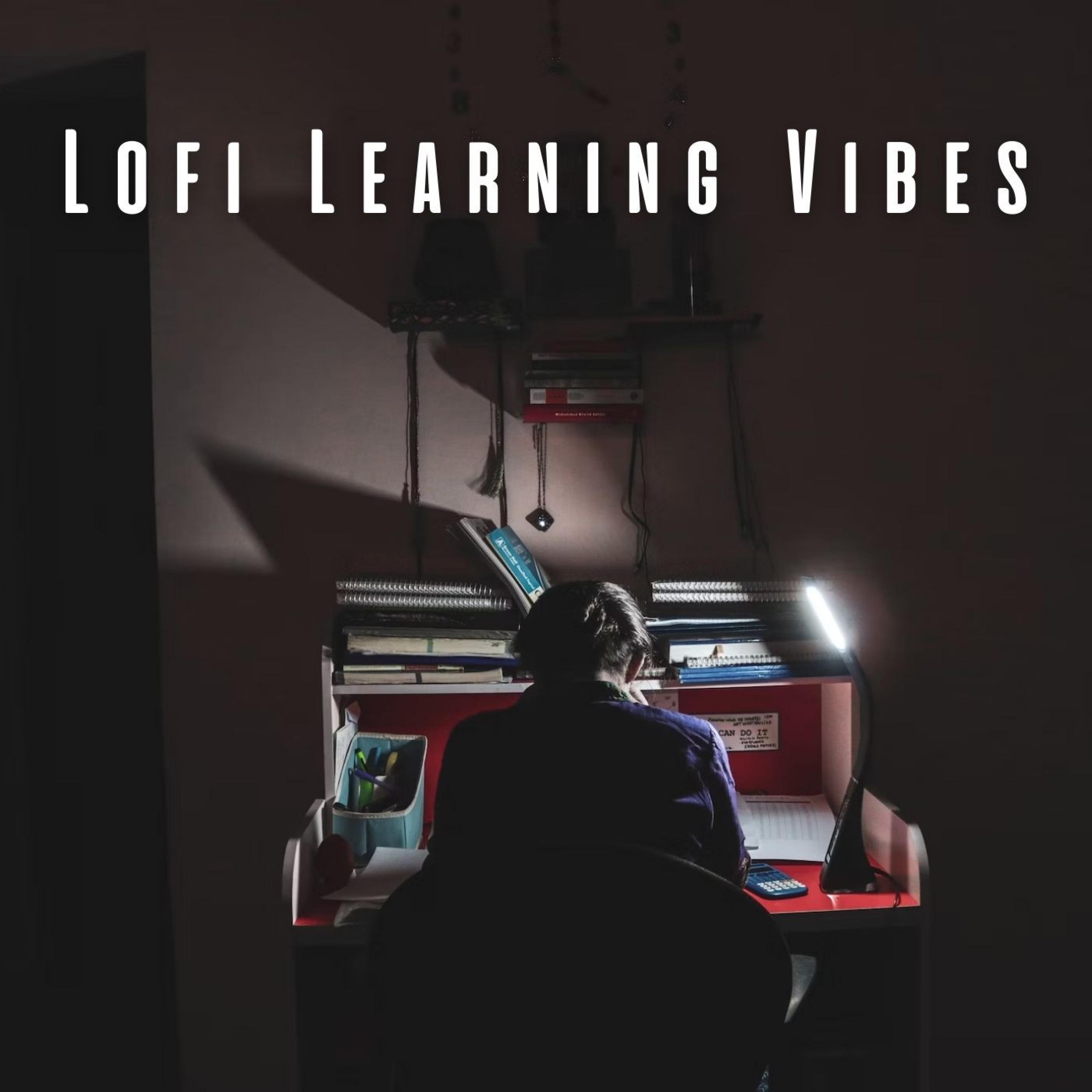 Study Zone Lofi Vibes - Lo-Fi for Studying/Relaxing Study Music Beats ...