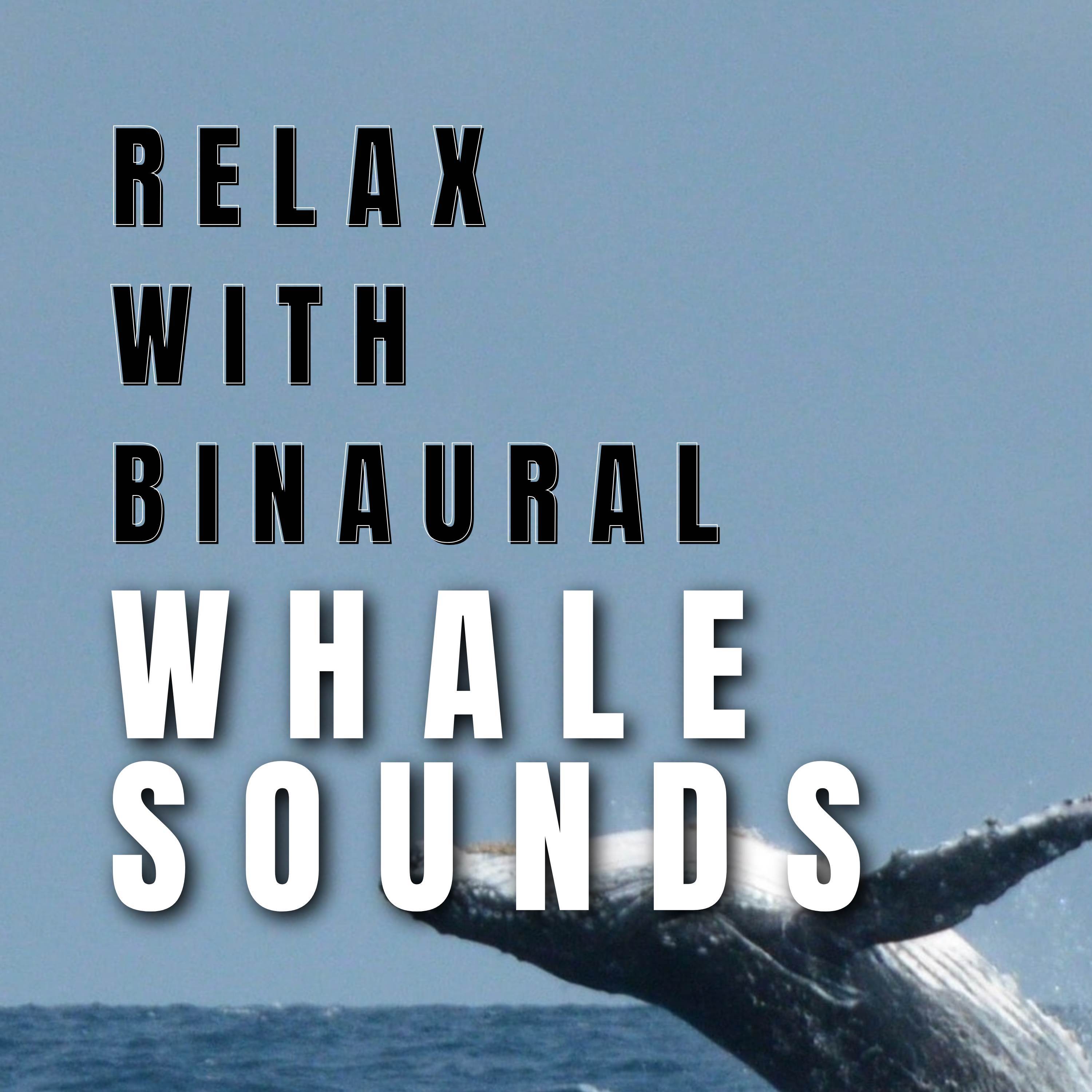 Whale Song - Whale Sounds - 单曲 - 网易云音乐