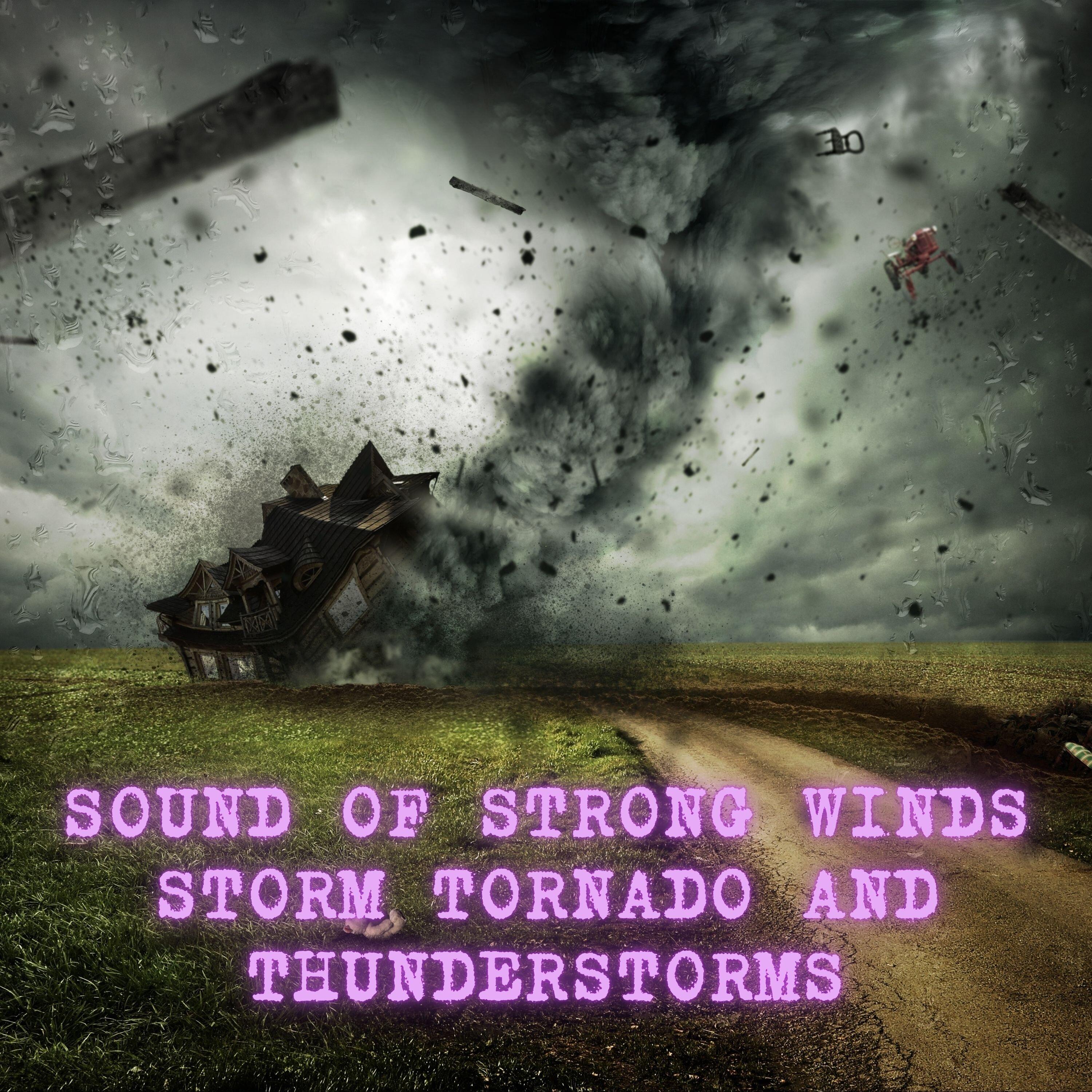 Sounds of Strong Winds Storm Tornado and Thunderstorms - michel kempel ...