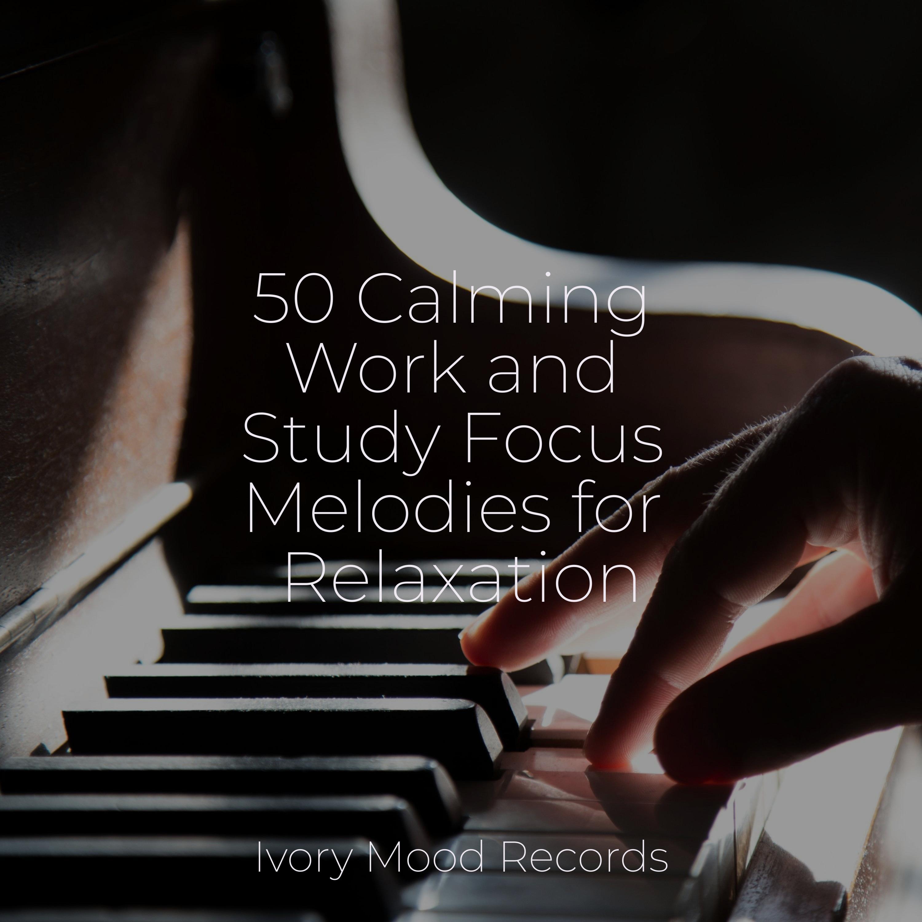 50 Calming Work and Study Focus Melodies for Relaxation - Musica de ...