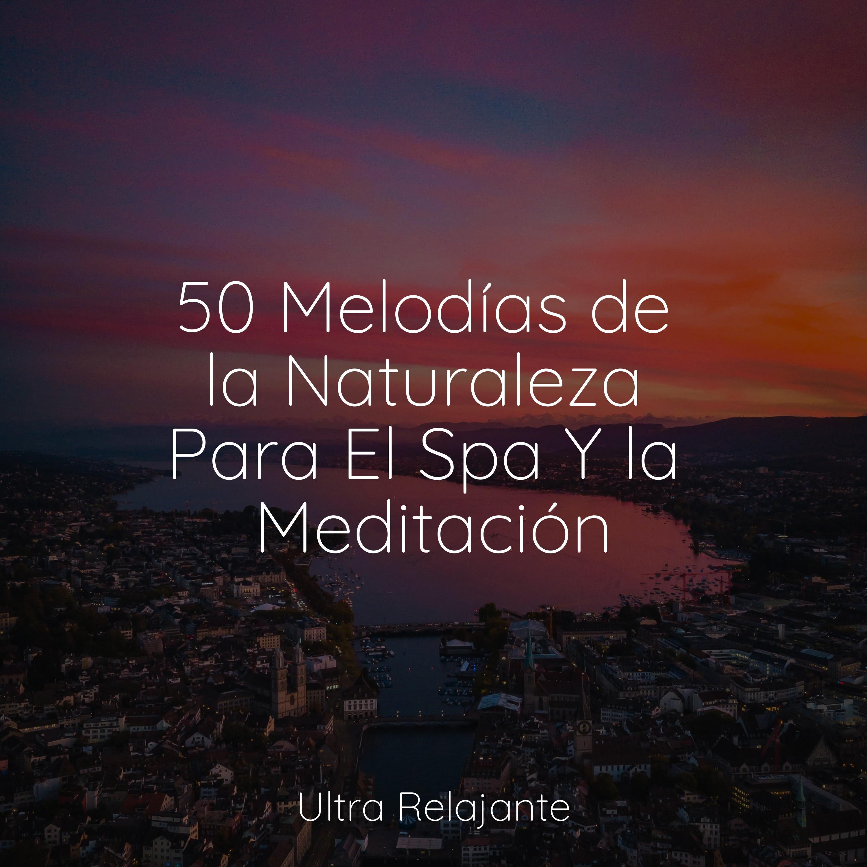 Invenciones Celestes - Música a Relajarse/Relajación/Relajar - 单曲 - 网易云音乐