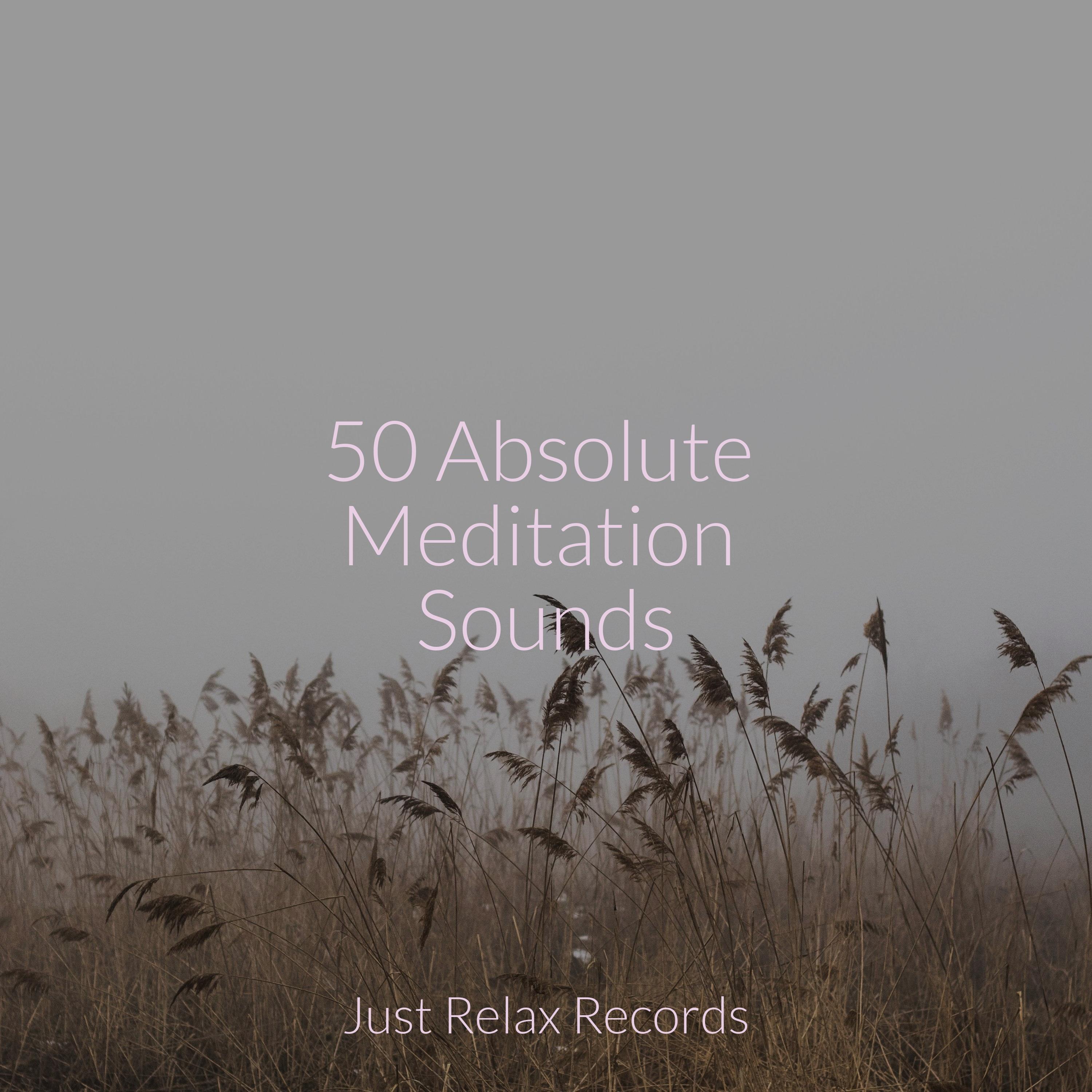 Enchanted Solitude's Bliss - Lullabies for Deep Meditation/Calm Music ...
