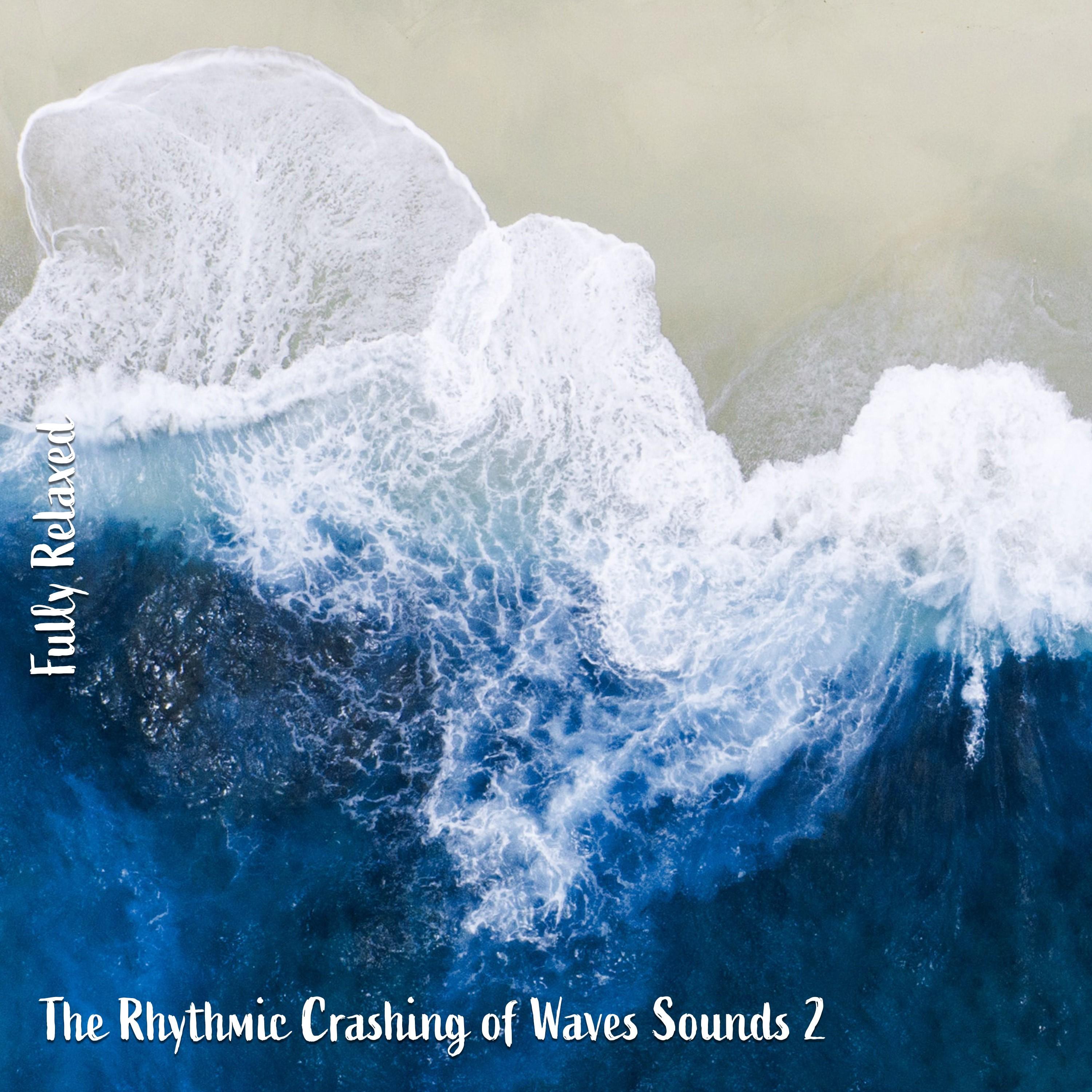 The Rhythmic Crashing of Waves Sounds, Pt. 5 - Steve Brassel - 单曲 - 网易云音乐
