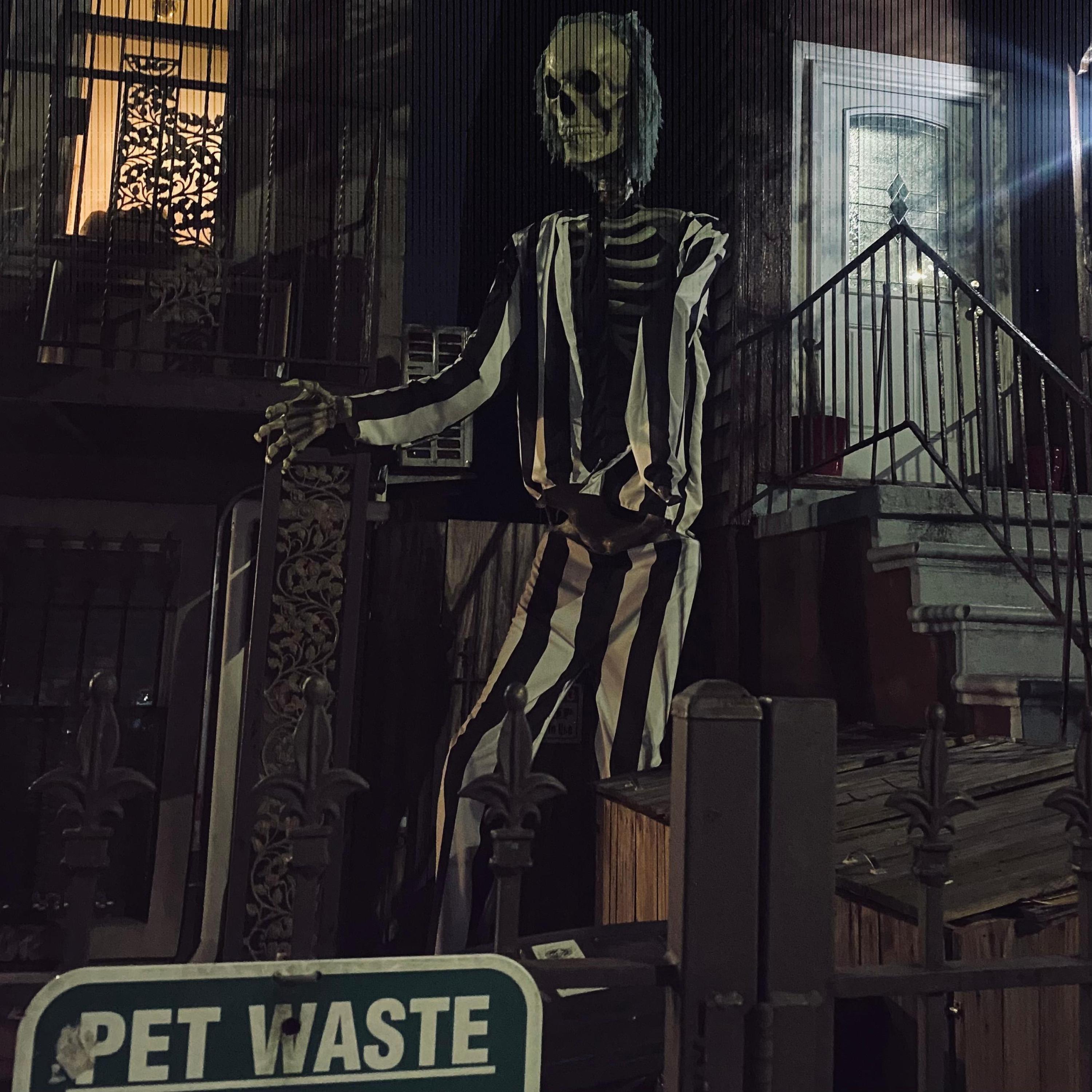 If I Was Dr. Frankenstein, I’d Totally Let You Be My Monster - Conan ...