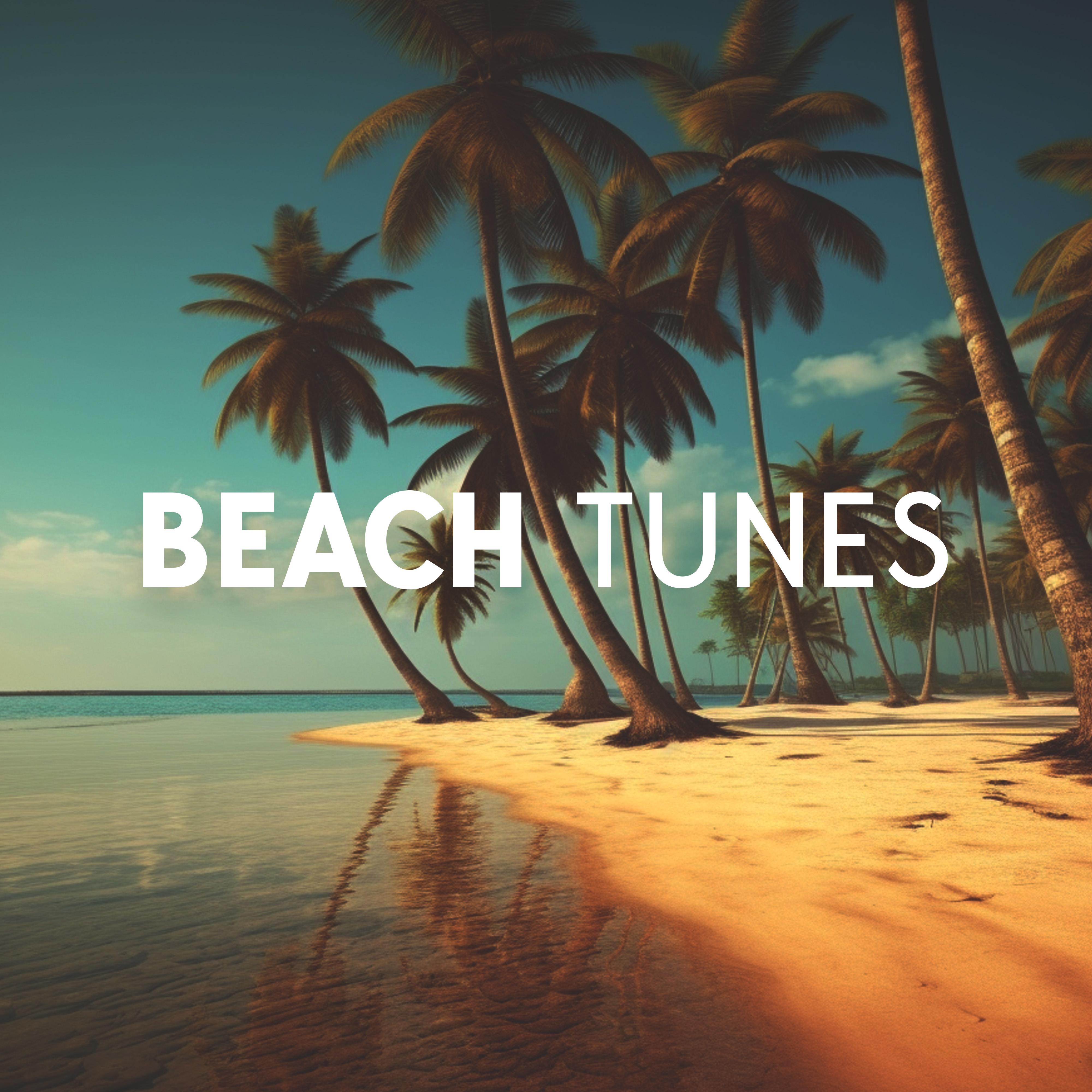 Beach Tunes: Tropical Vacation - Ibiza DJ Rockerz - 专辑 - 网易云音乐