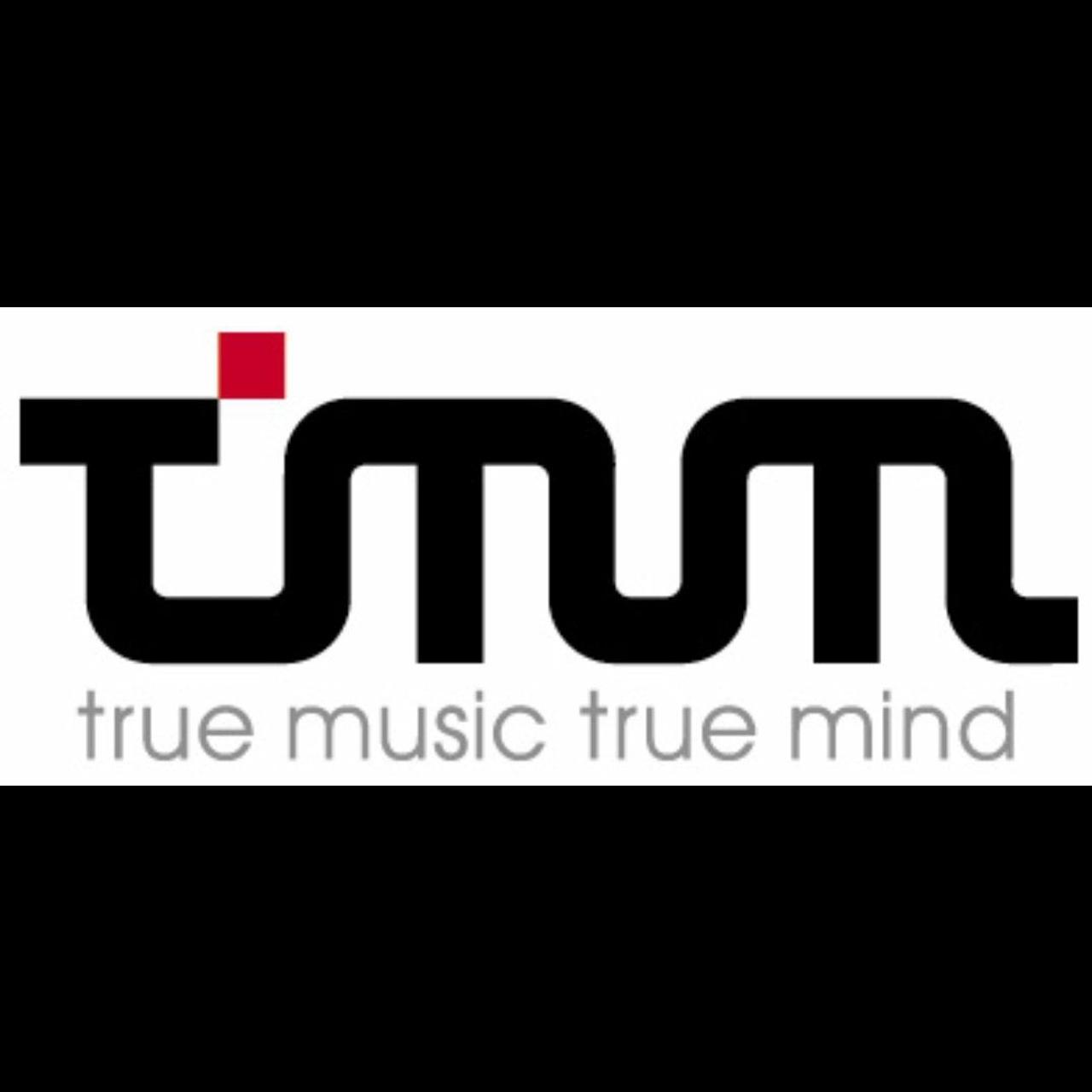 TMM - 歌手 - 网易云音乐