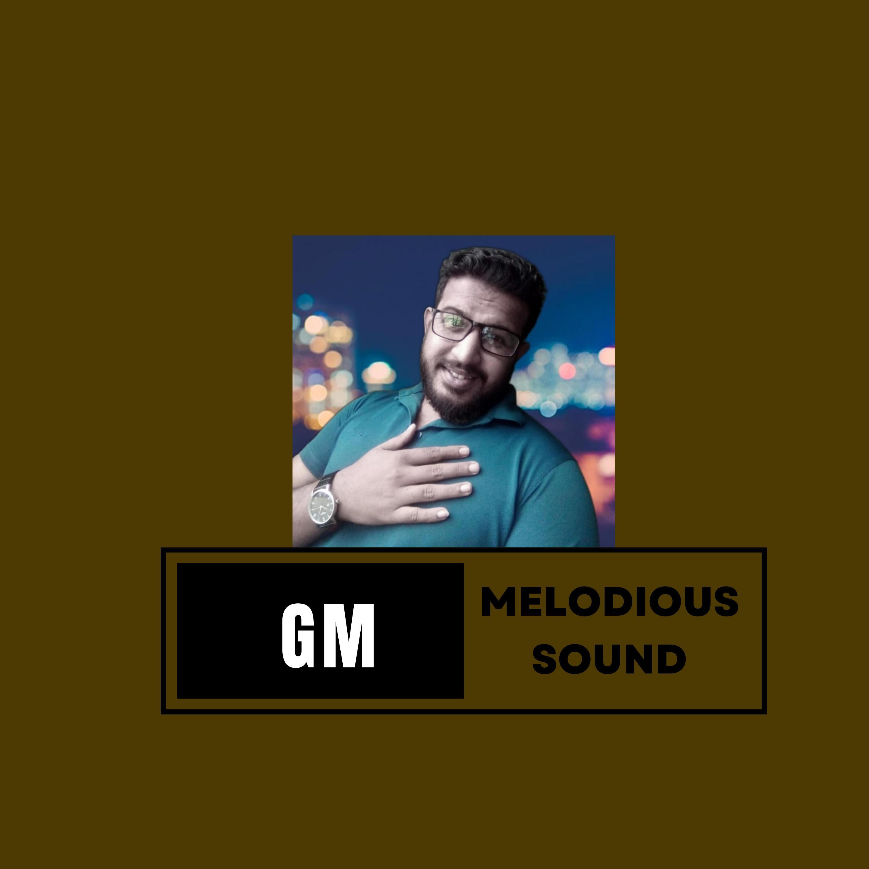 GM Supernova remnant - GM Melodious Sound - 专辑 - 网易云音乐