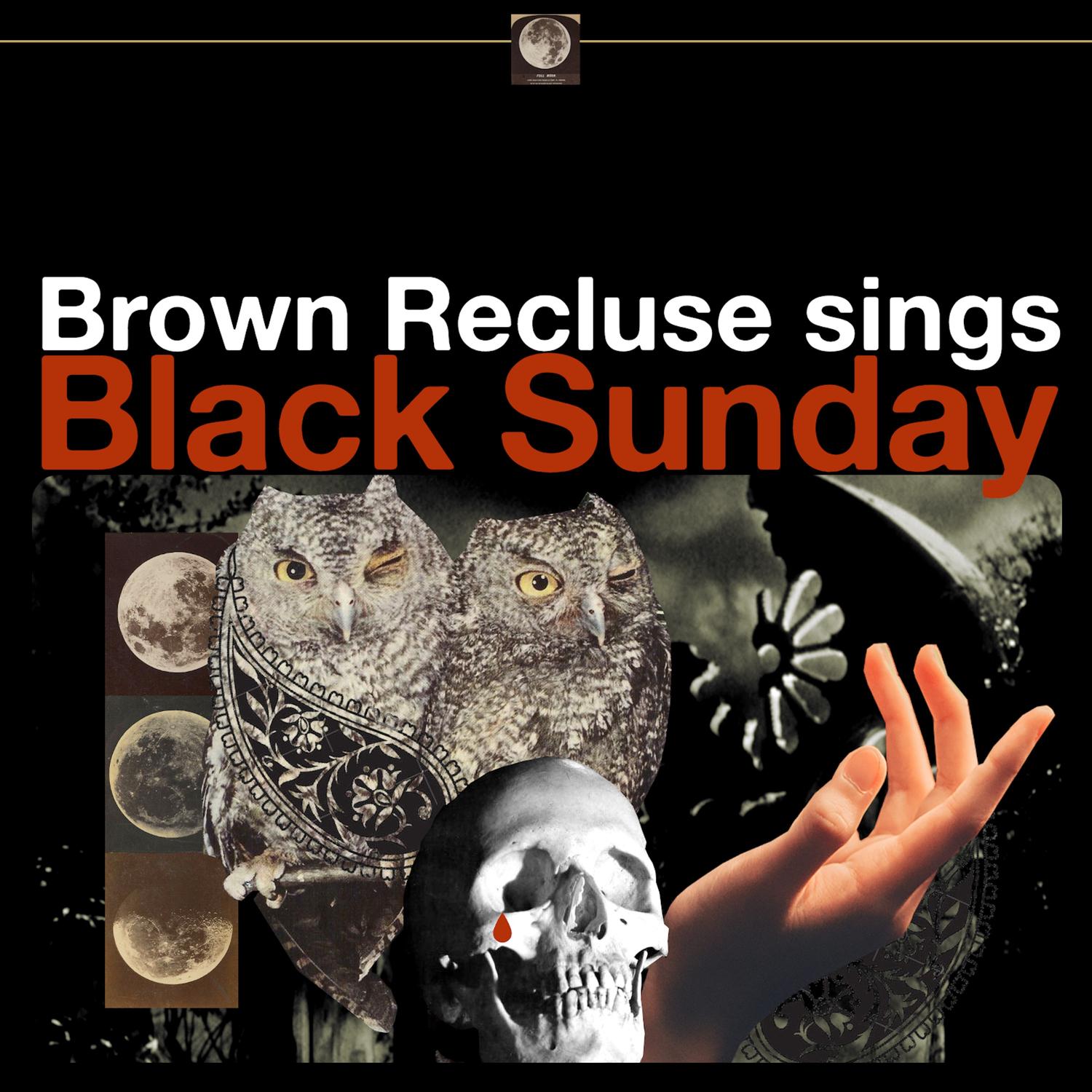 Black Sunday - Brown Recluse - 单曲 - 网易云音乐