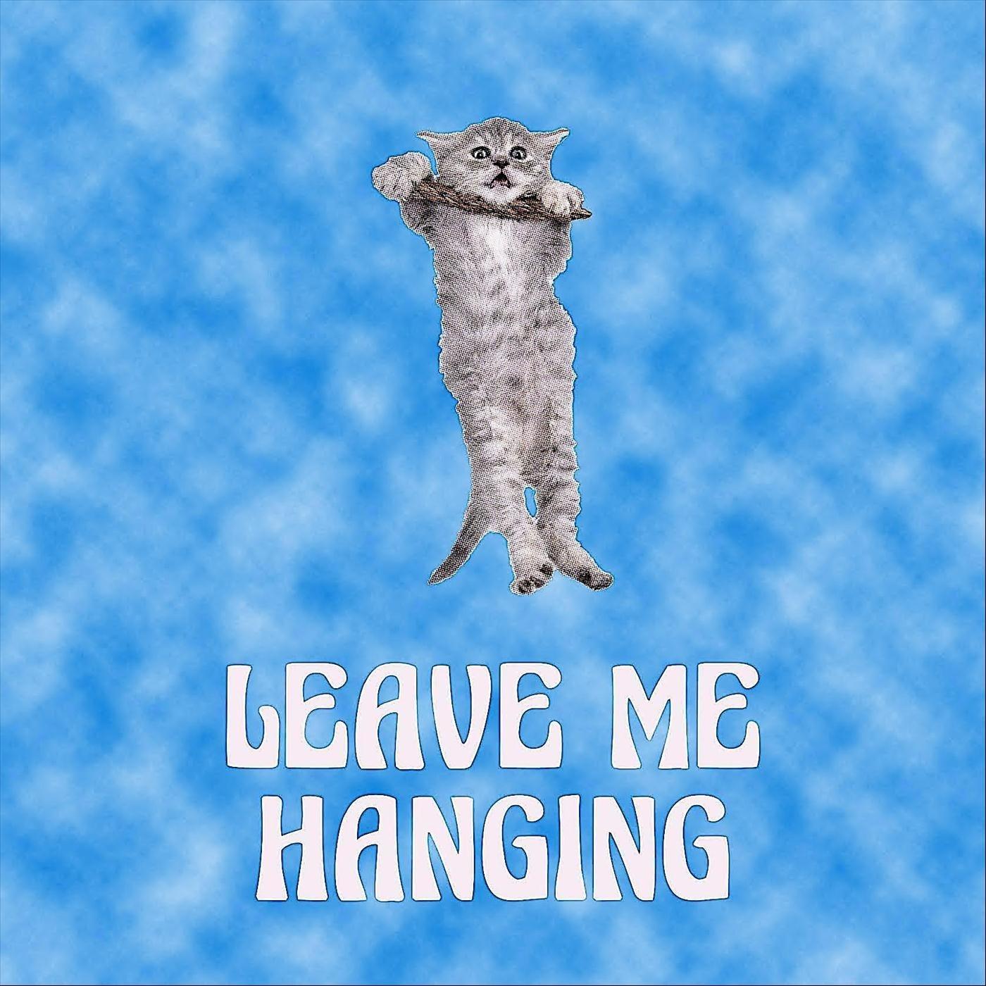 Leave Me Hanging - Binky Philips and the Planets - 单曲 - 网易云音乐