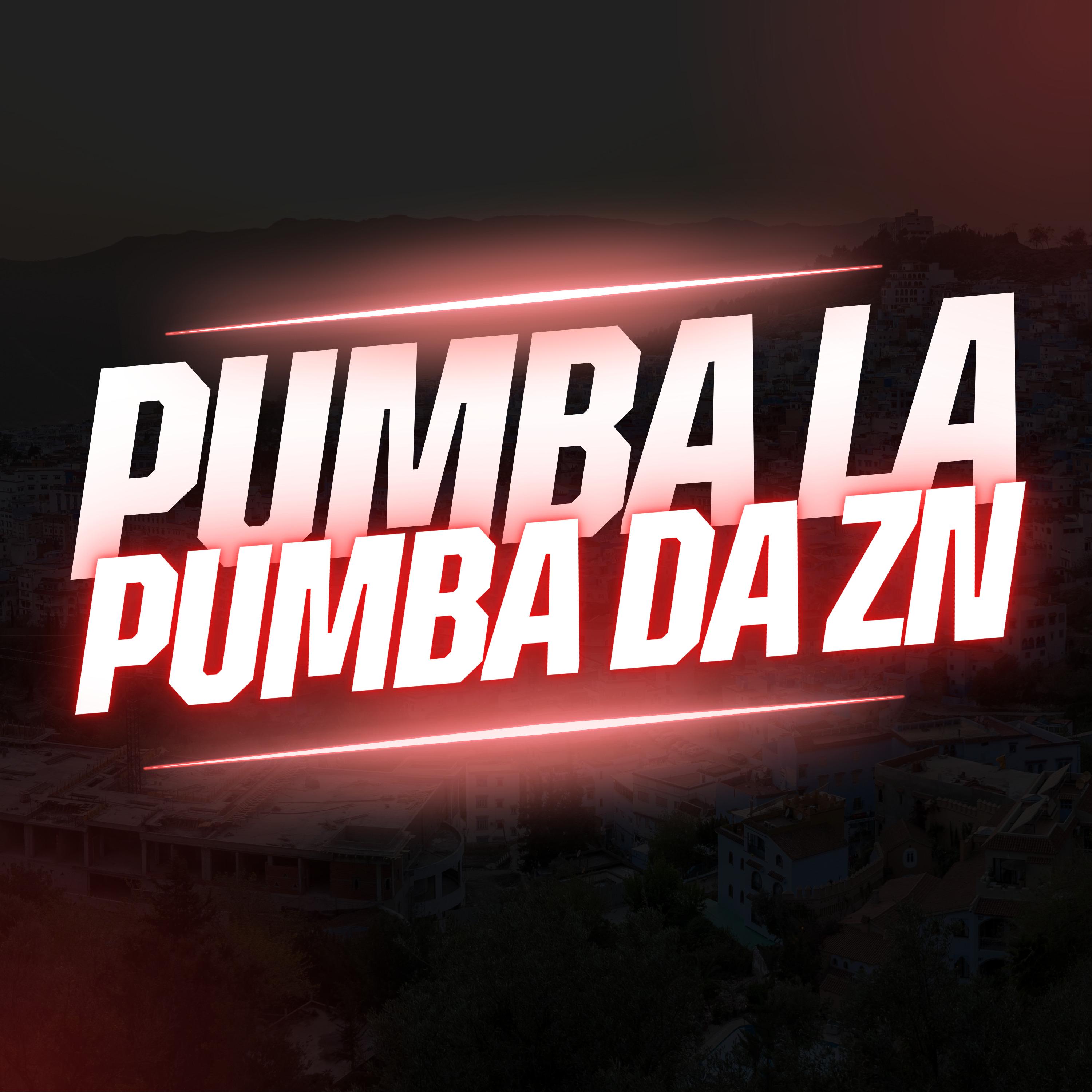 Pumba La Pumba da ZN - DJ DN DE CAXIAS - 专辑 - 网易云音乐
