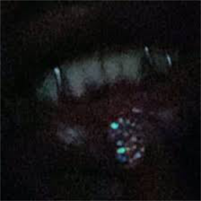 Playboi Carti - Carti World (Ft. Pierre Bourne) - vamp archives - 电台节目 ...