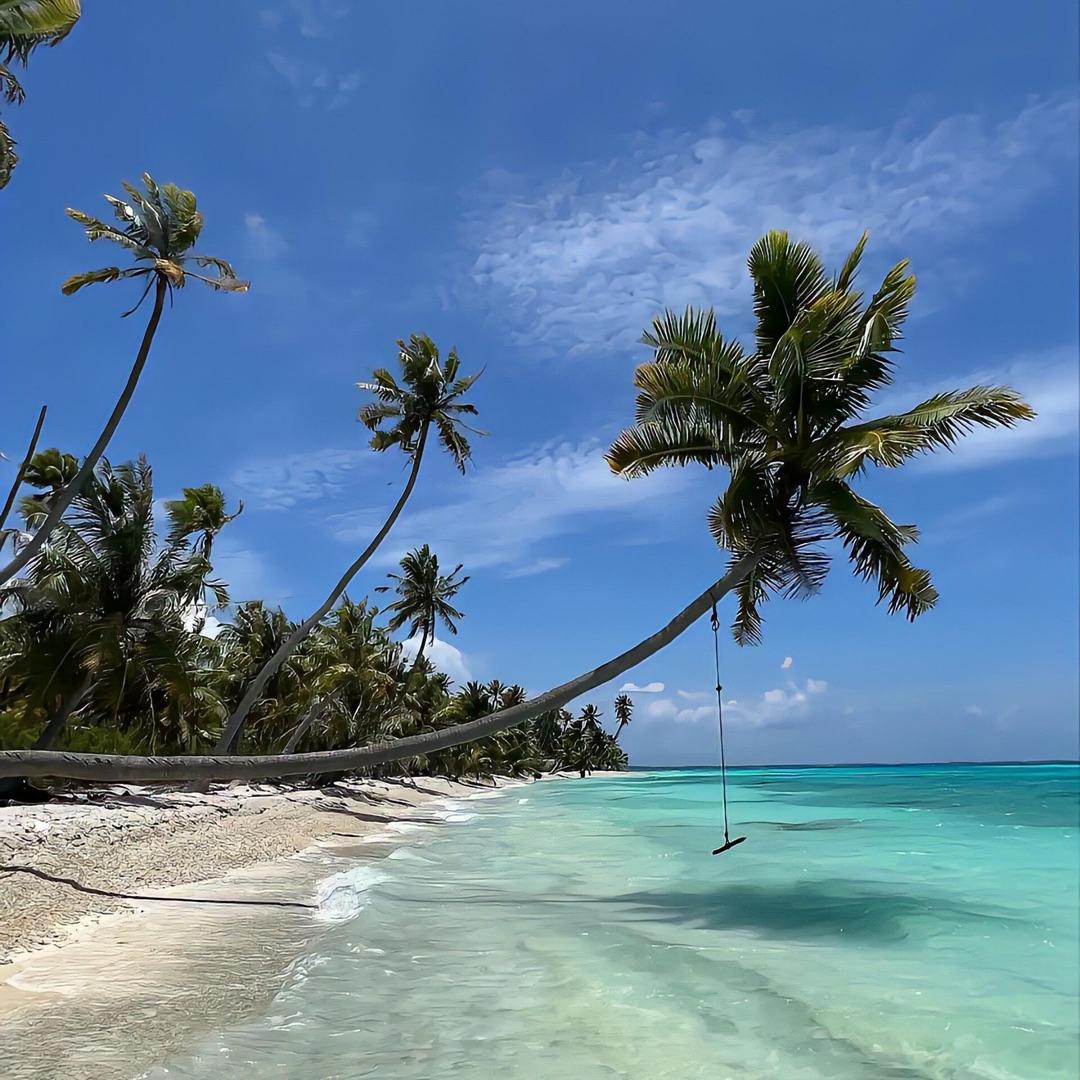 Veronica Bravo,Le Bober - Faded - 《故事仍在继续》 - 电台节目 - 网易云音乐