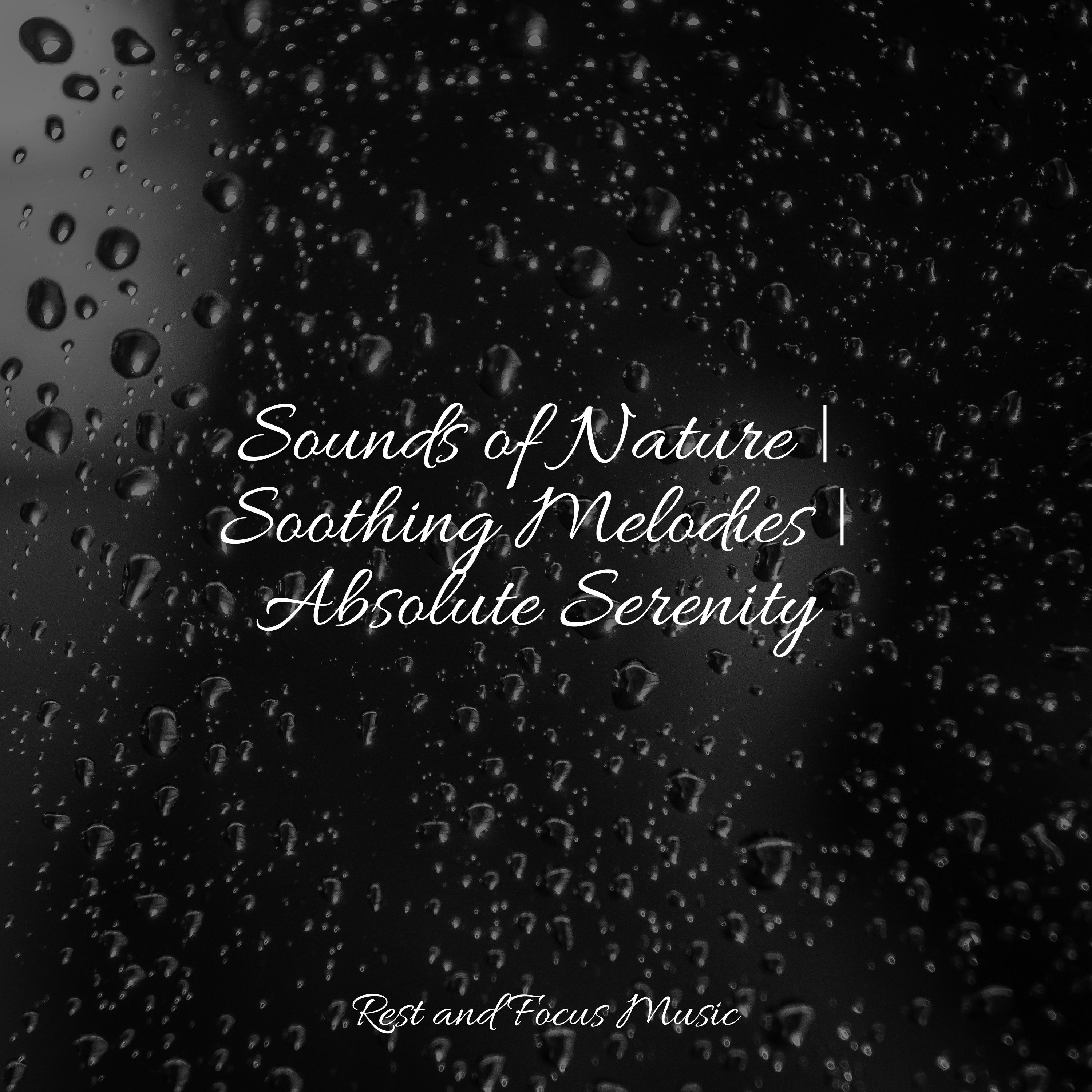 Sounds of Nature | Soothing Melodies | Absolute Serenity - Relaxing ...