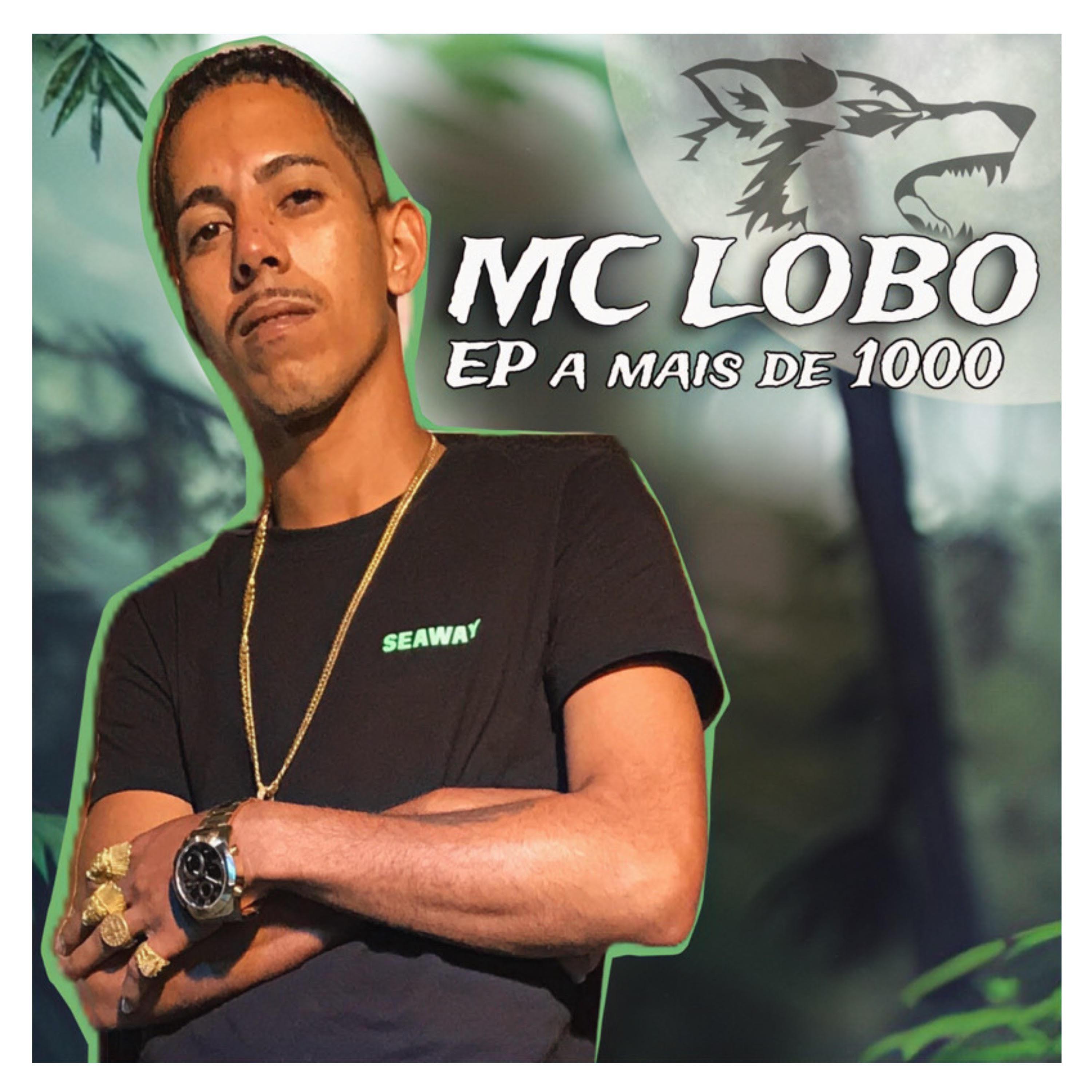 ESSA VAIBE MASSA - Mc Lobo Do Recife - 单曲 - 网易云音乐