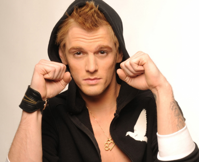 Aaron Carter - 歌手 - 网易云音乐