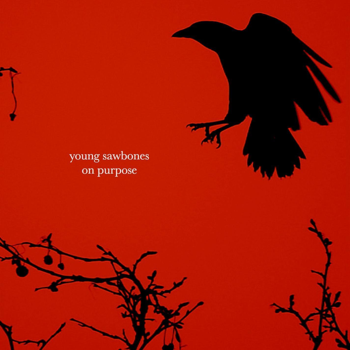 Landh - Young Sawbones - 单曲 - 网易云音乐