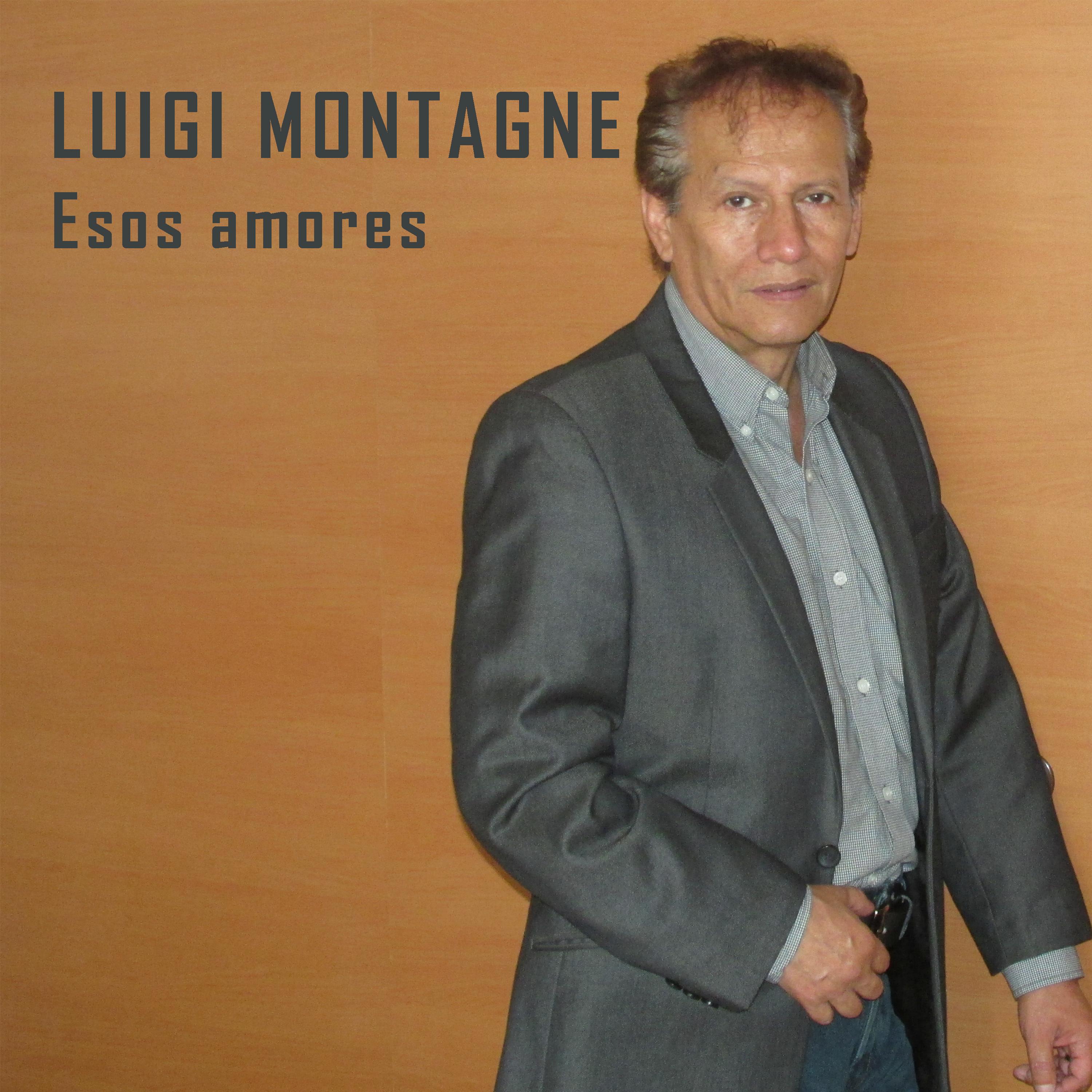 Tímido Felino - Luigi Montagne/Debra Soto - 单曲 - 网易云音乐