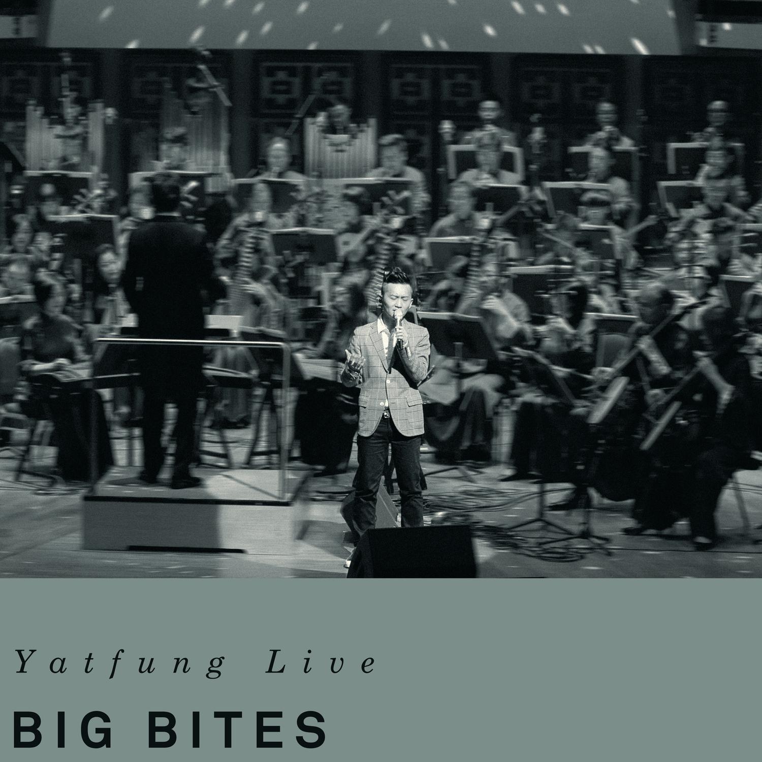 Live Biography (Volume 3 - Big Bites) - 林一峰（Chet Lam） - 专辑 - 网易云音乐