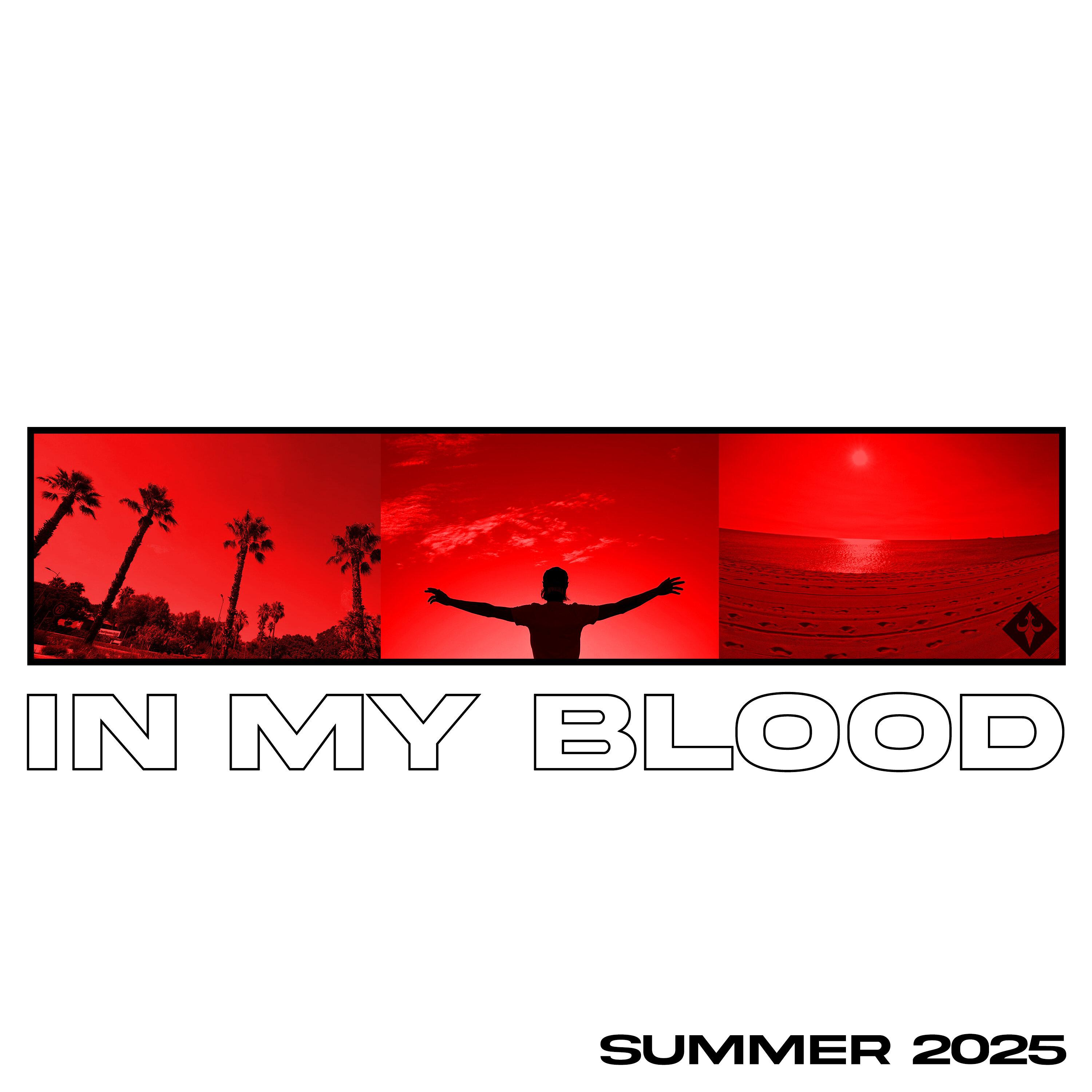 IN MY BLOOD (SUMMER 2025) - Aime Simone - 专辑 - 网易云音乐