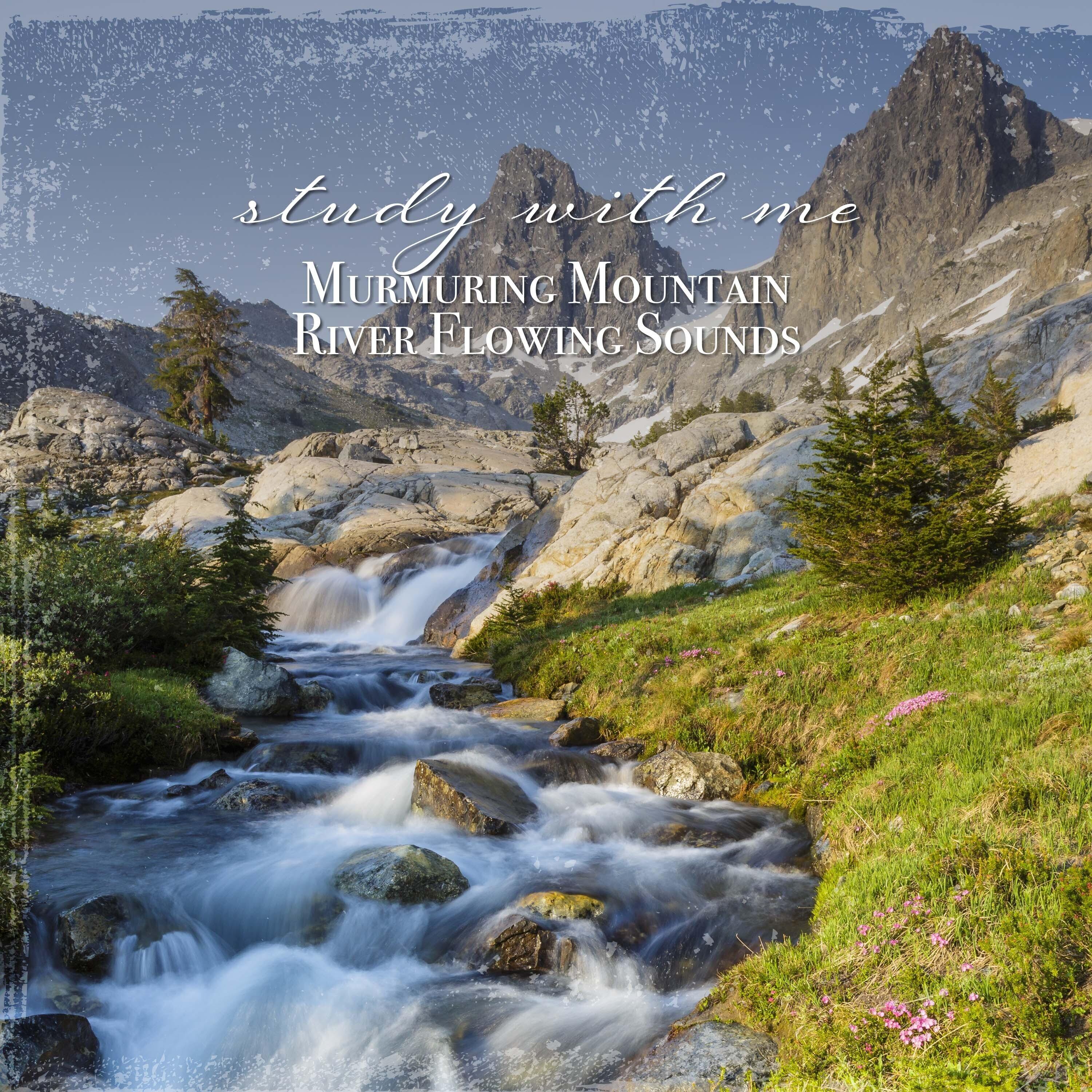 Study with Me: Murmuring Mountain River Flowing Sounds - Sebastian ...