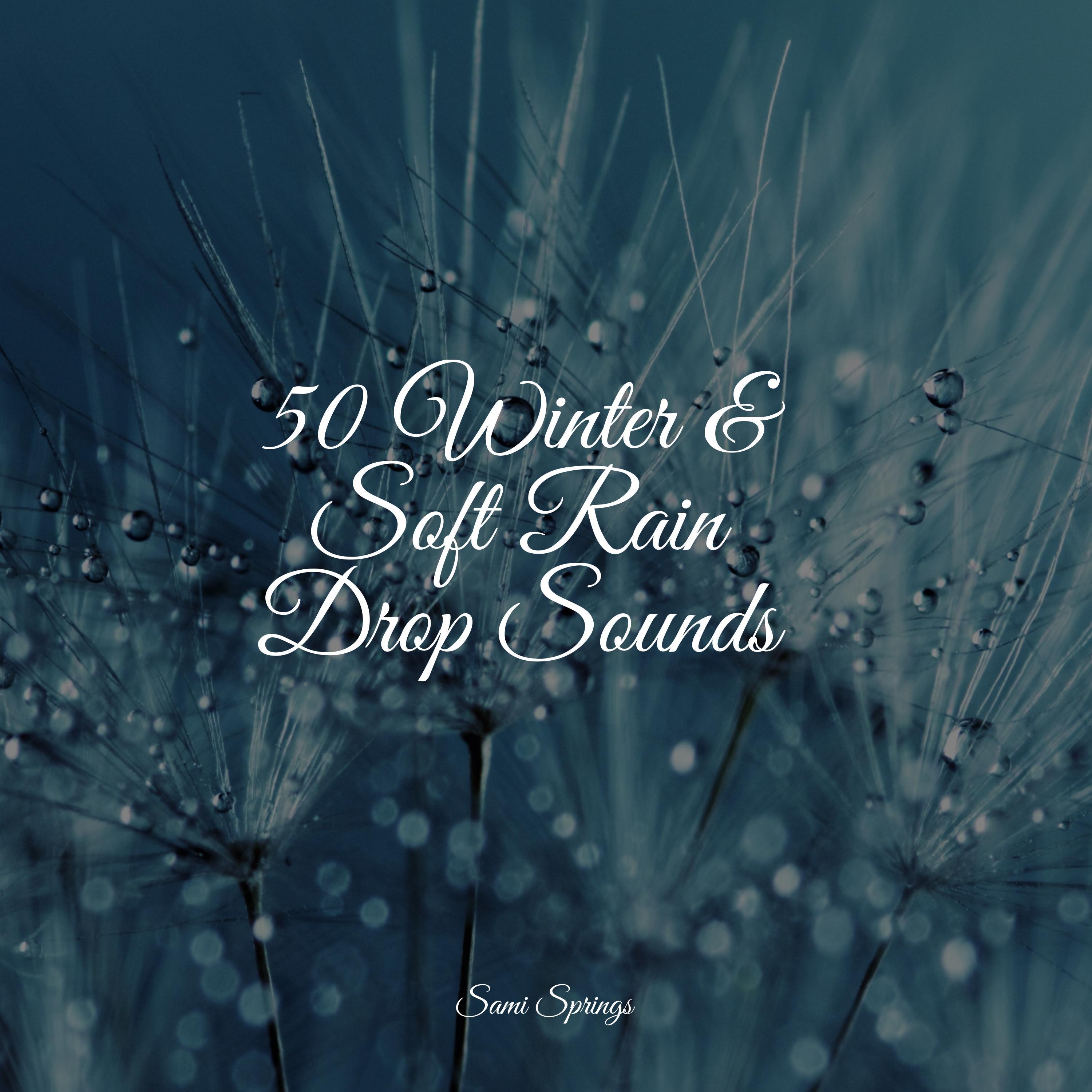 50 Winter & Soft Rain Drop Sounds - Fresh Water Sounds for Inner Peace ...