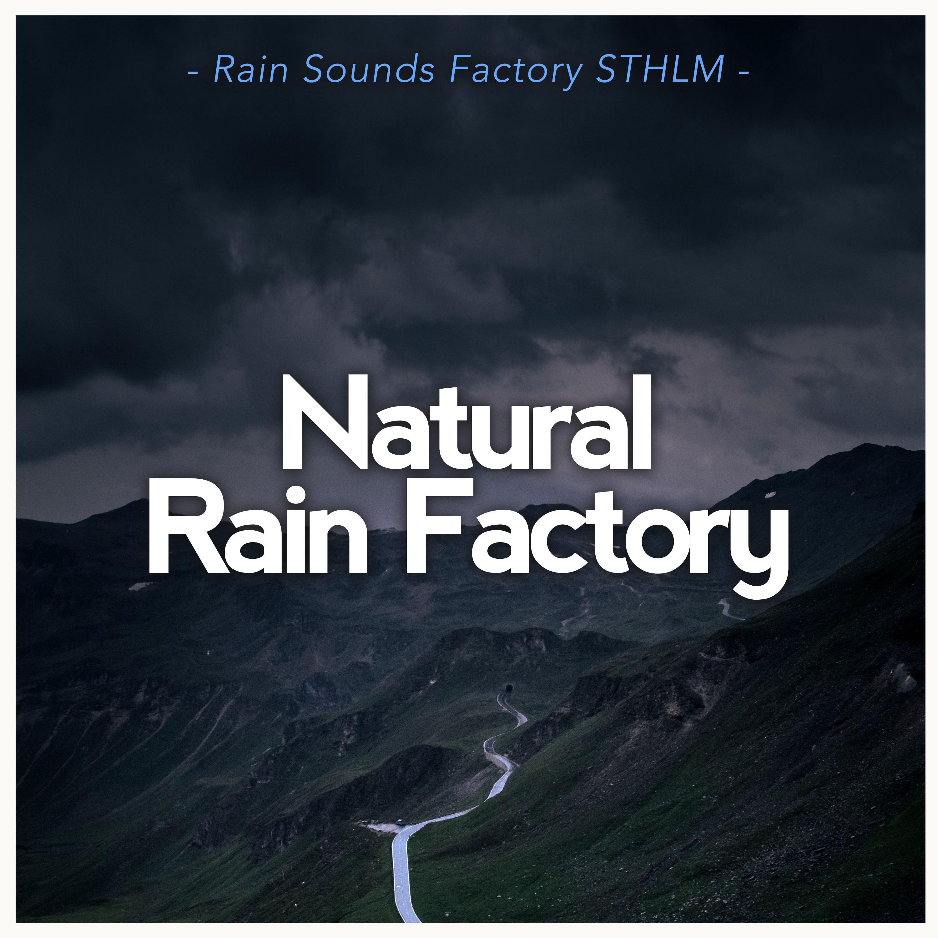 New England Rain - Rain Sounds Factory STHLM - 单曲 - 网易云音乐