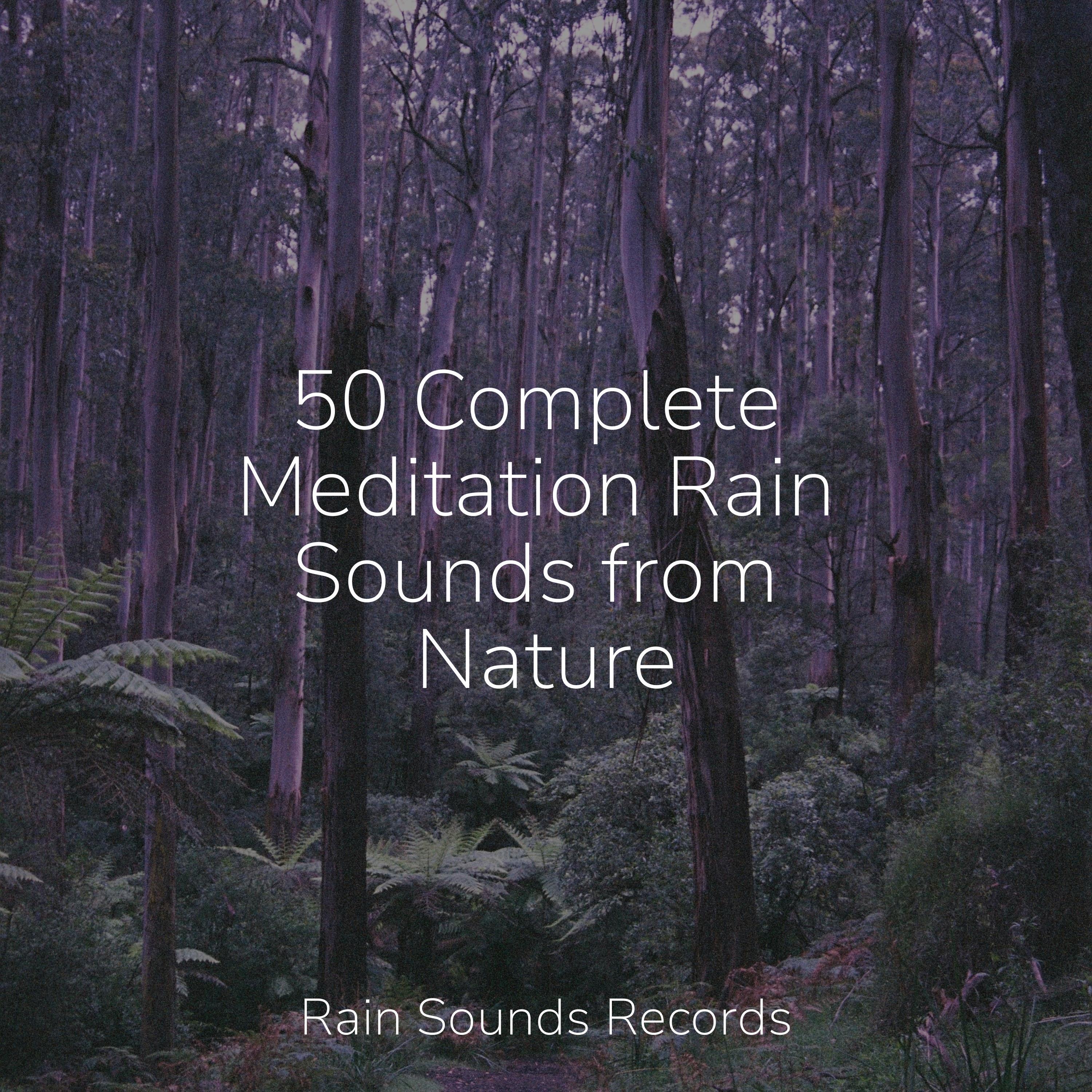 Midday Melodies in the Meadow - Brain Study Music Guys/Calming Sounds ...
