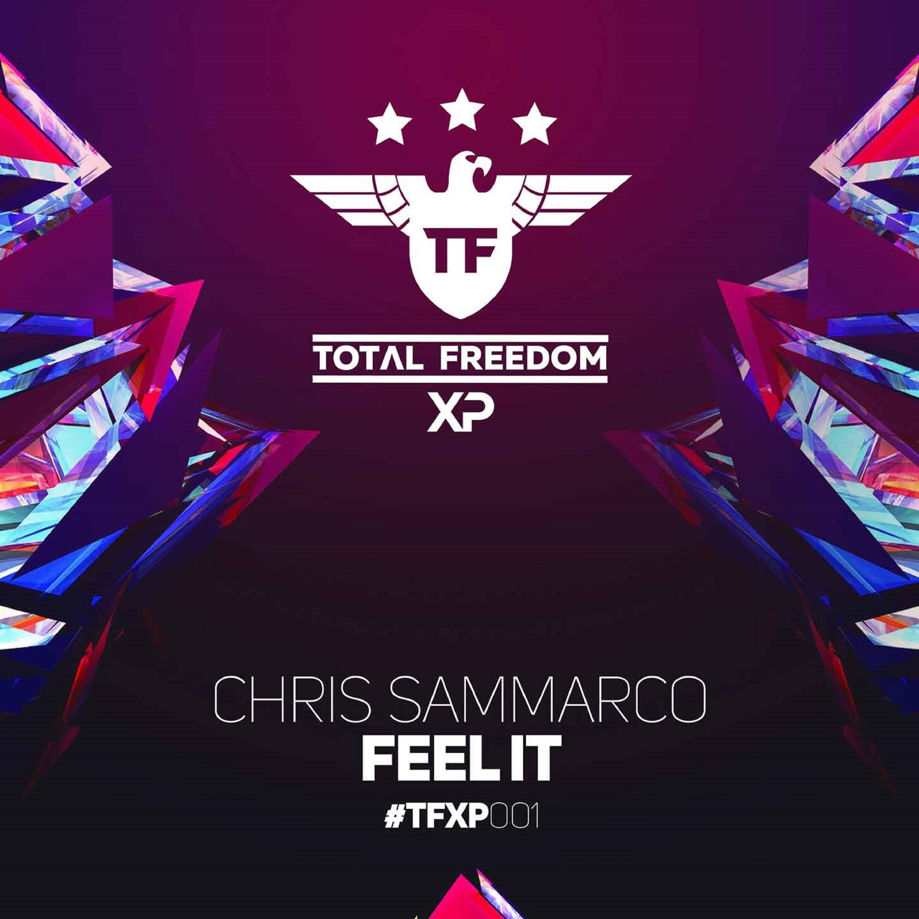 Feel It (Afterhours Mix) - Chris Sammarco/Afterhours - 单曲 - 网易云音乐