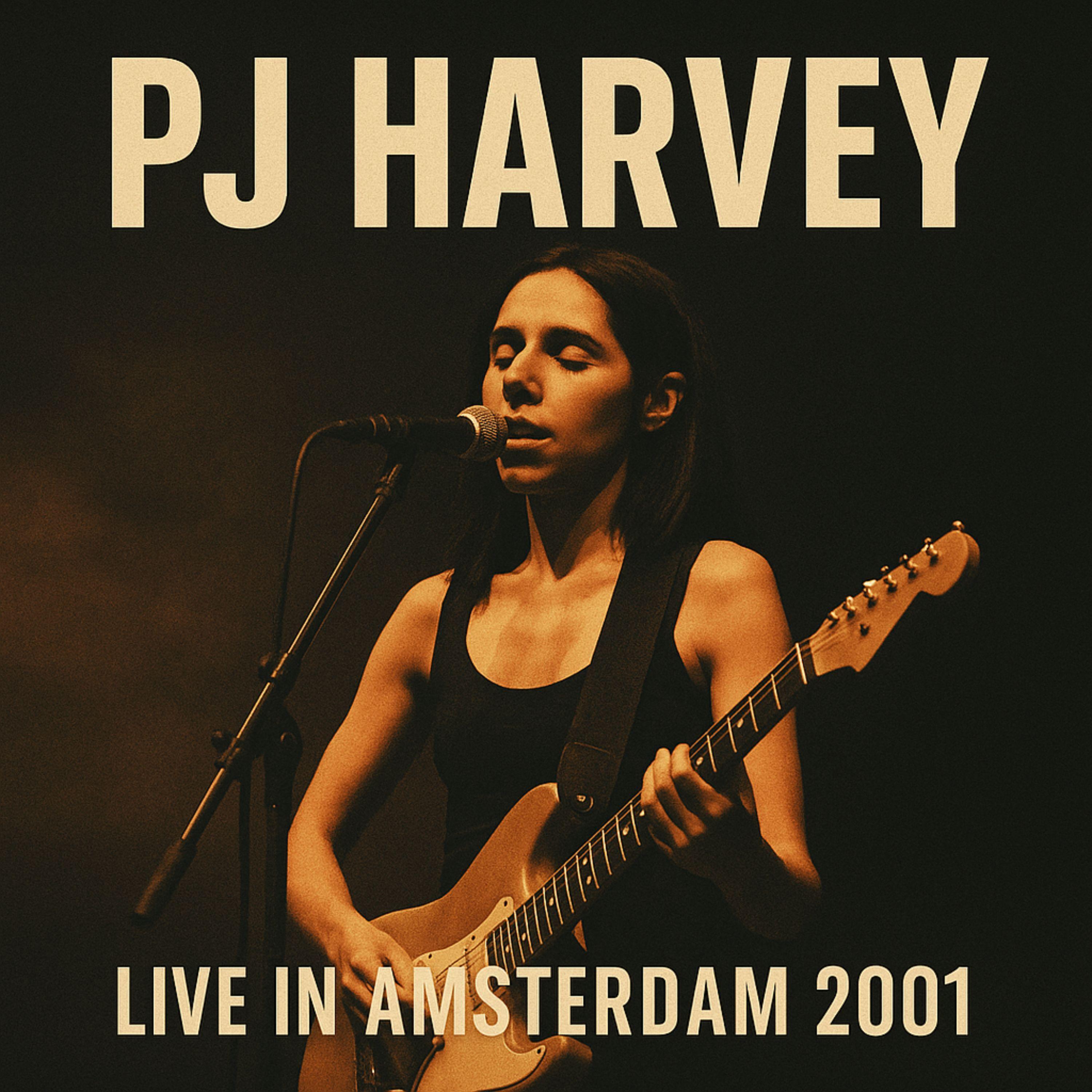 Live in Amsterdam 2001 (Live) - PJ Harvey - 专辑 - 网易云音乐
