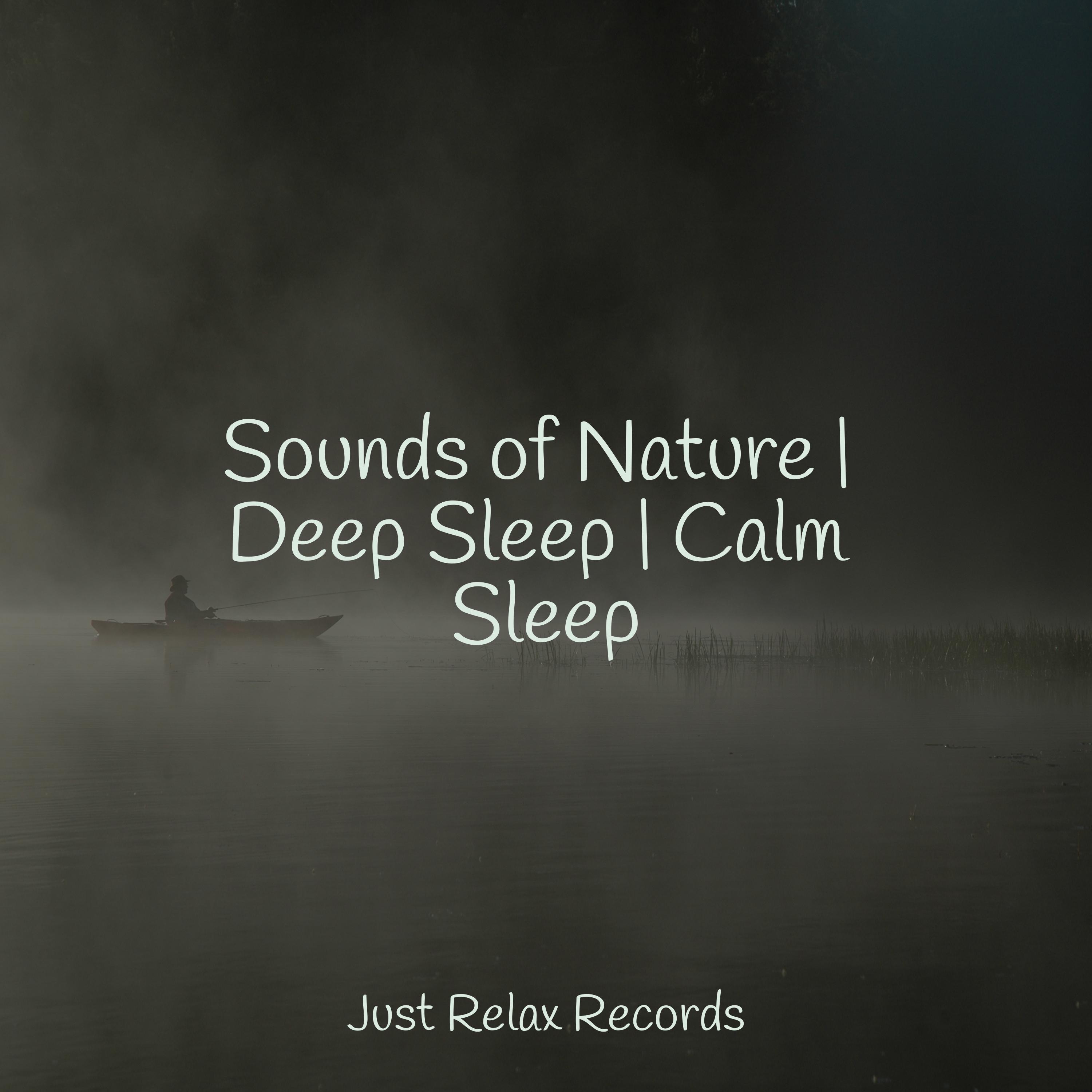 Sounds of Nature | Deep Sleep | Calm Sleep - Nature Sounds Nature Music ...