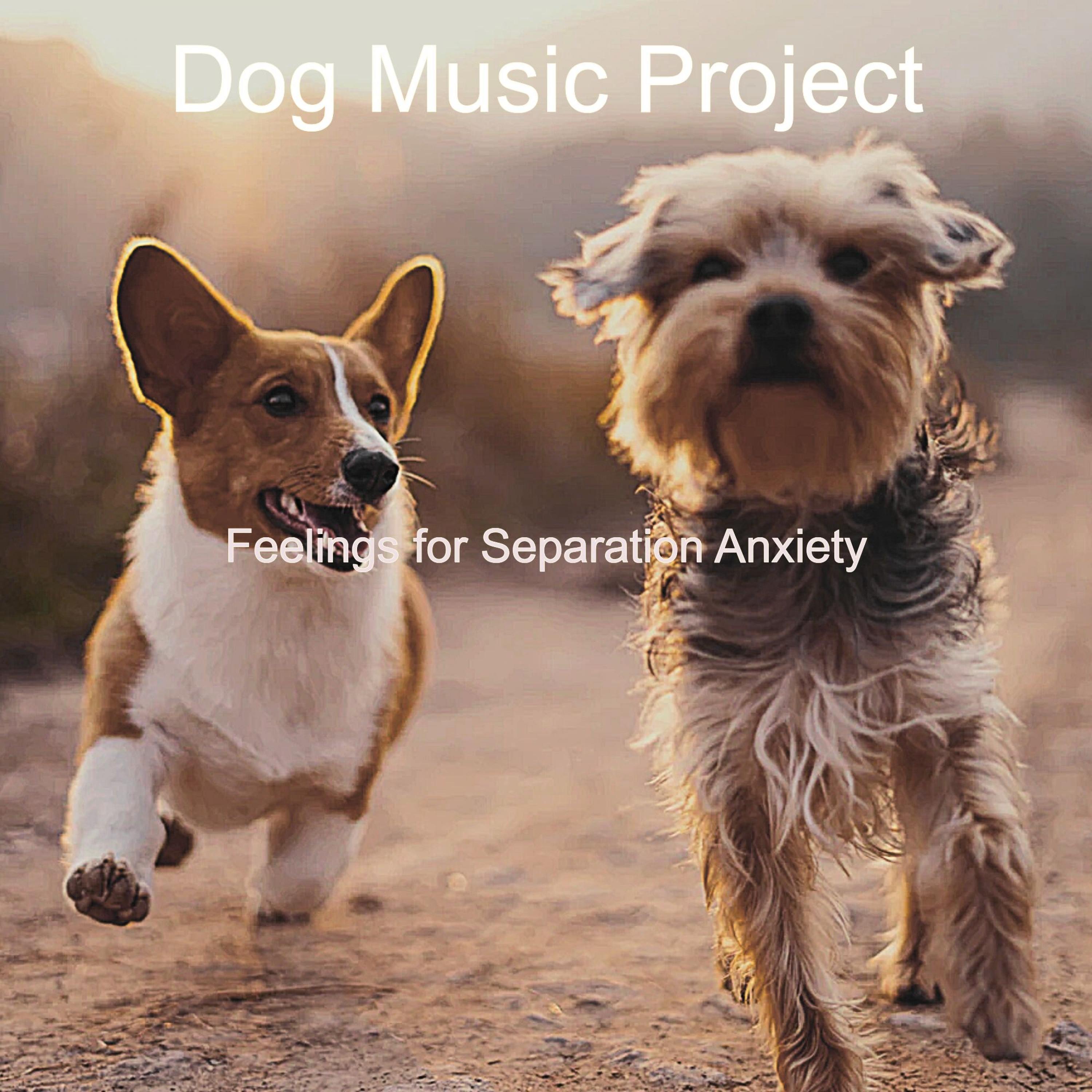 Happy Cute Dogs - Dog Music Project - 单曲 - 网易云音乐