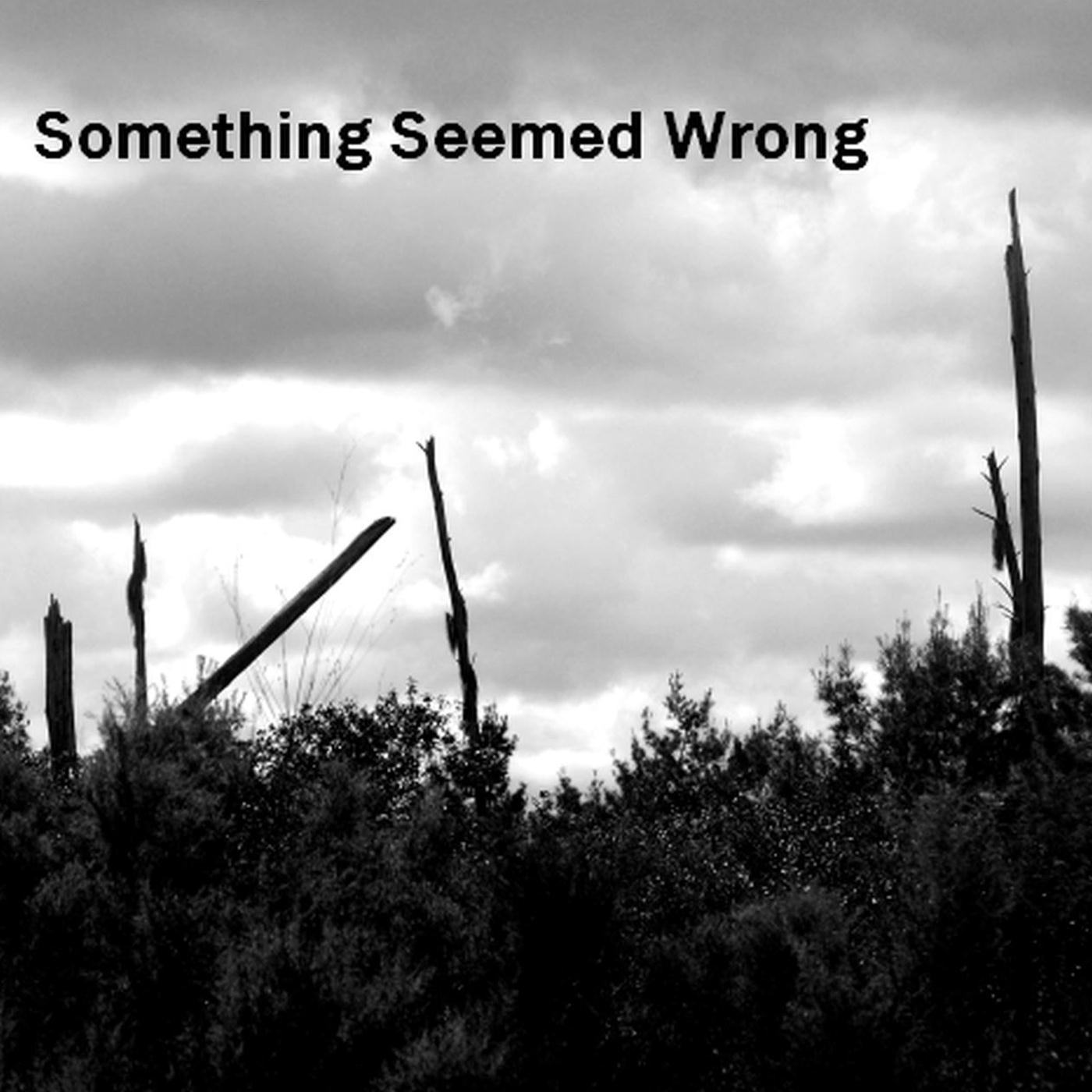 Something Seemed Wrong - Krishna Swamy - 专辑 - 网易云音乐