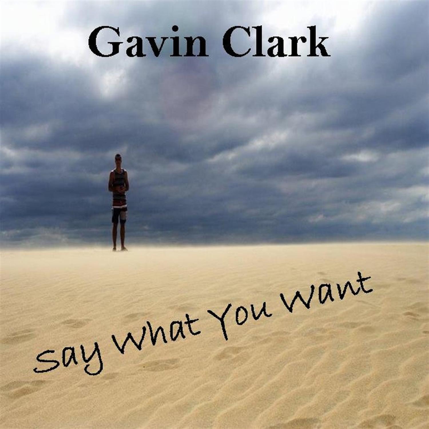 The Perfect Girl - Gavin Clark - 单曲 - 网易云音乐