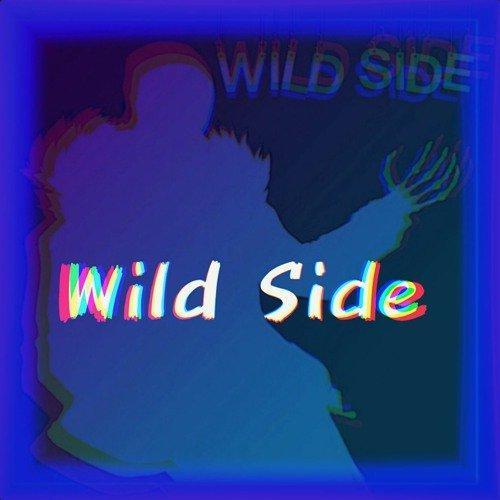 Wild Side (Tanner's Underswap Cover) - Undertale同人曲目 - 电台节目 - 网易云音乐