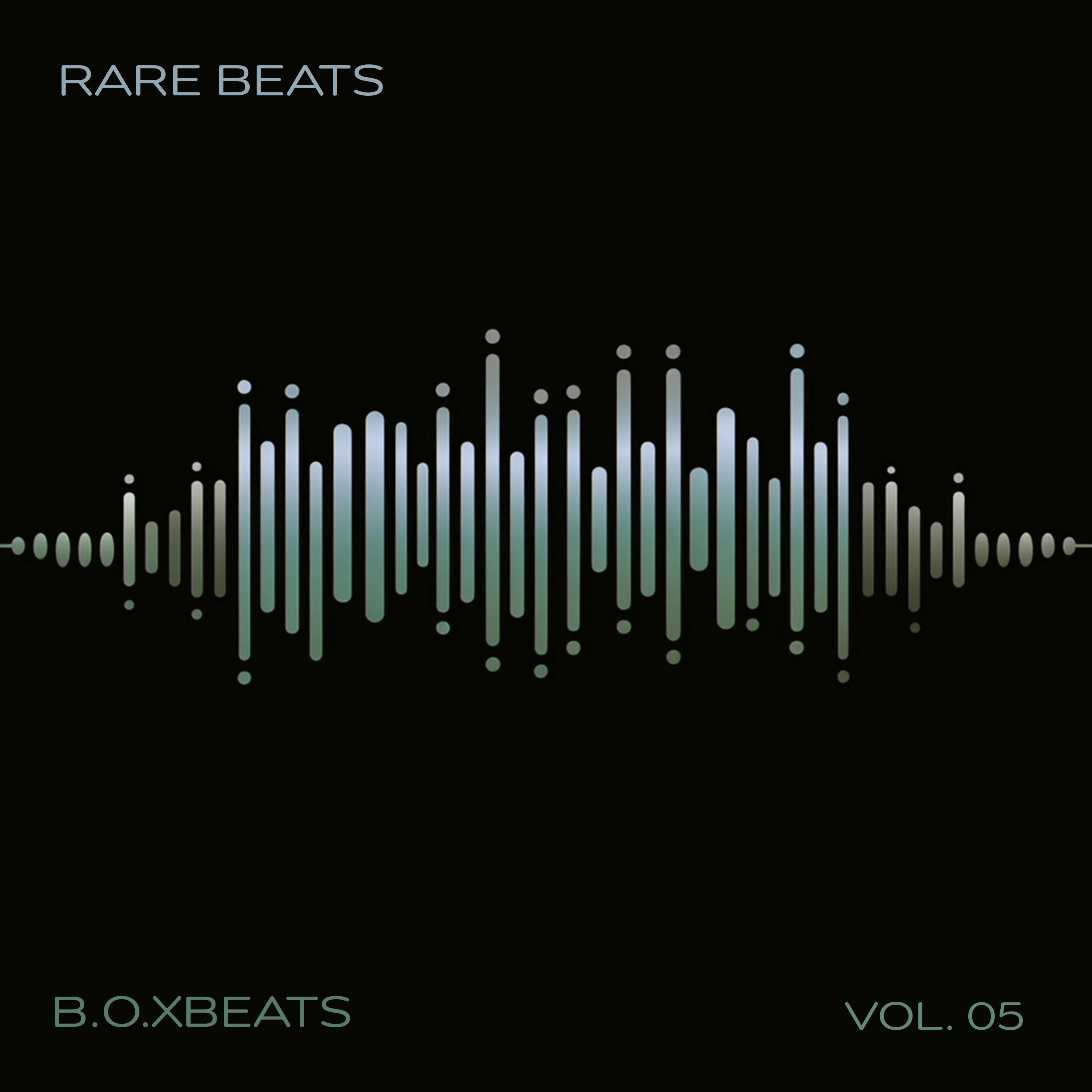 Rare Beats - Tr - 116Bpm Bm - B.O.XBEATS - 单曲 - 网易云音乐
