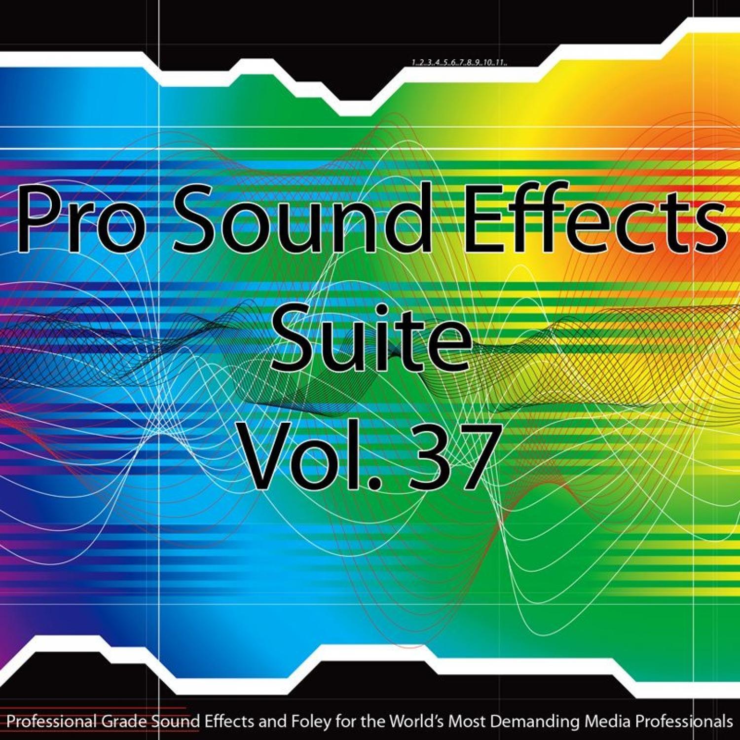 Torch, Burn, Dull Sound Effect - Pro Sound Effects Suite - 单曲 - 网易云音乐