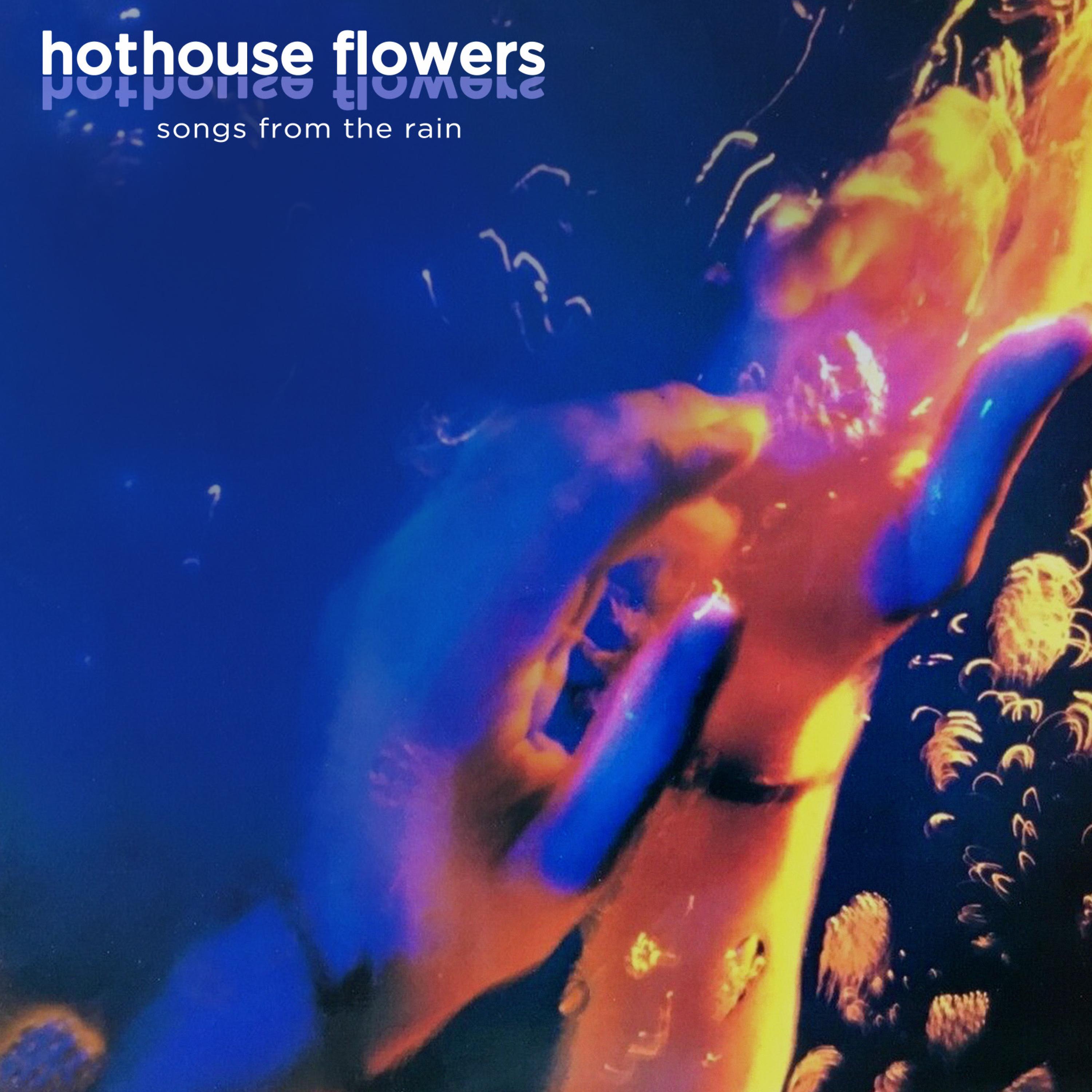 Wish You Everything - Hothouse Flowers - 单曲 - 网易云音乐