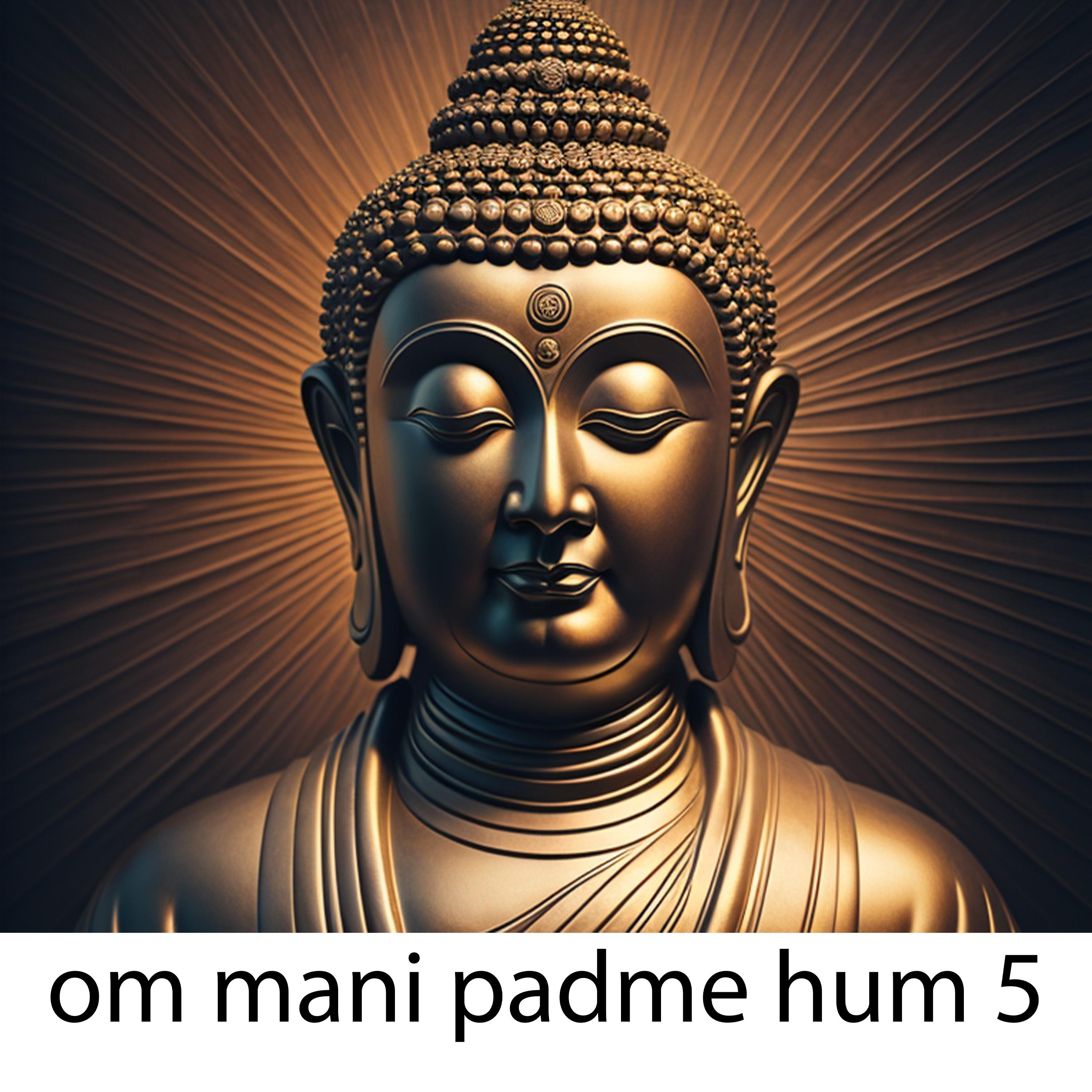 om mani padme hum 5 - OM MANI PADME HUM - 专辑 - 网易云音乐
