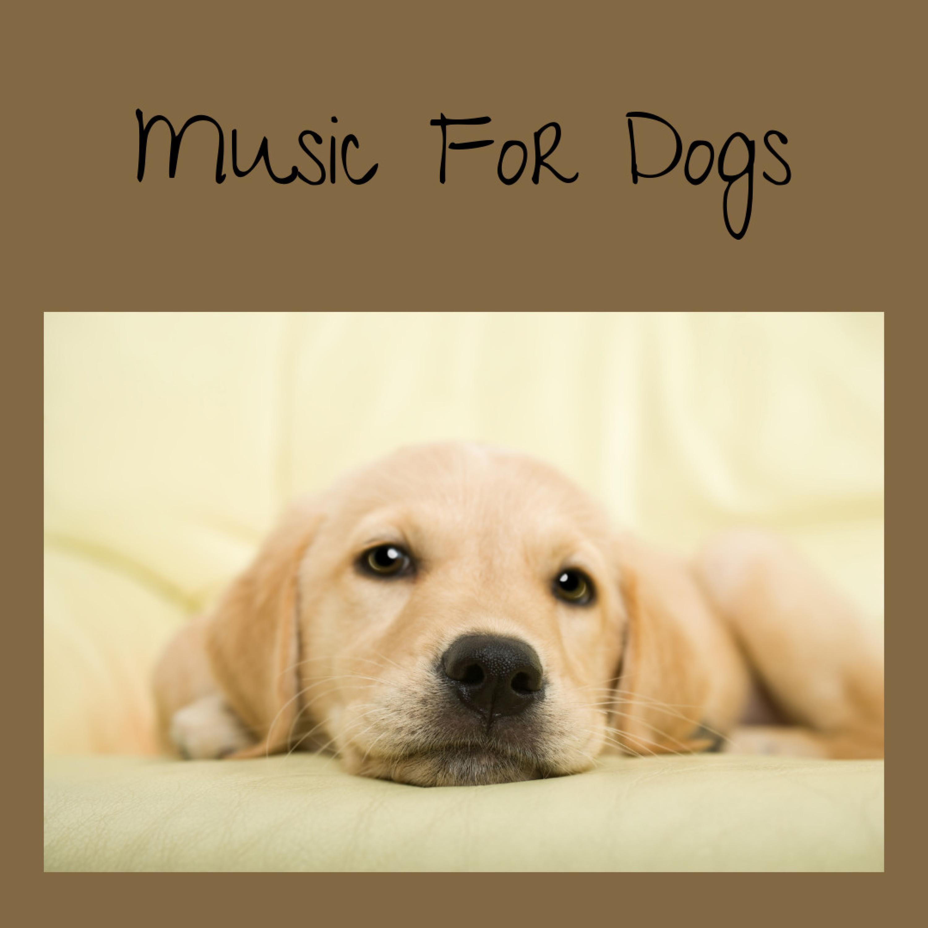 Ruff Rhythms - Music For Dogs/Music For Dogs Peace/Relaxing Puppy Music ...