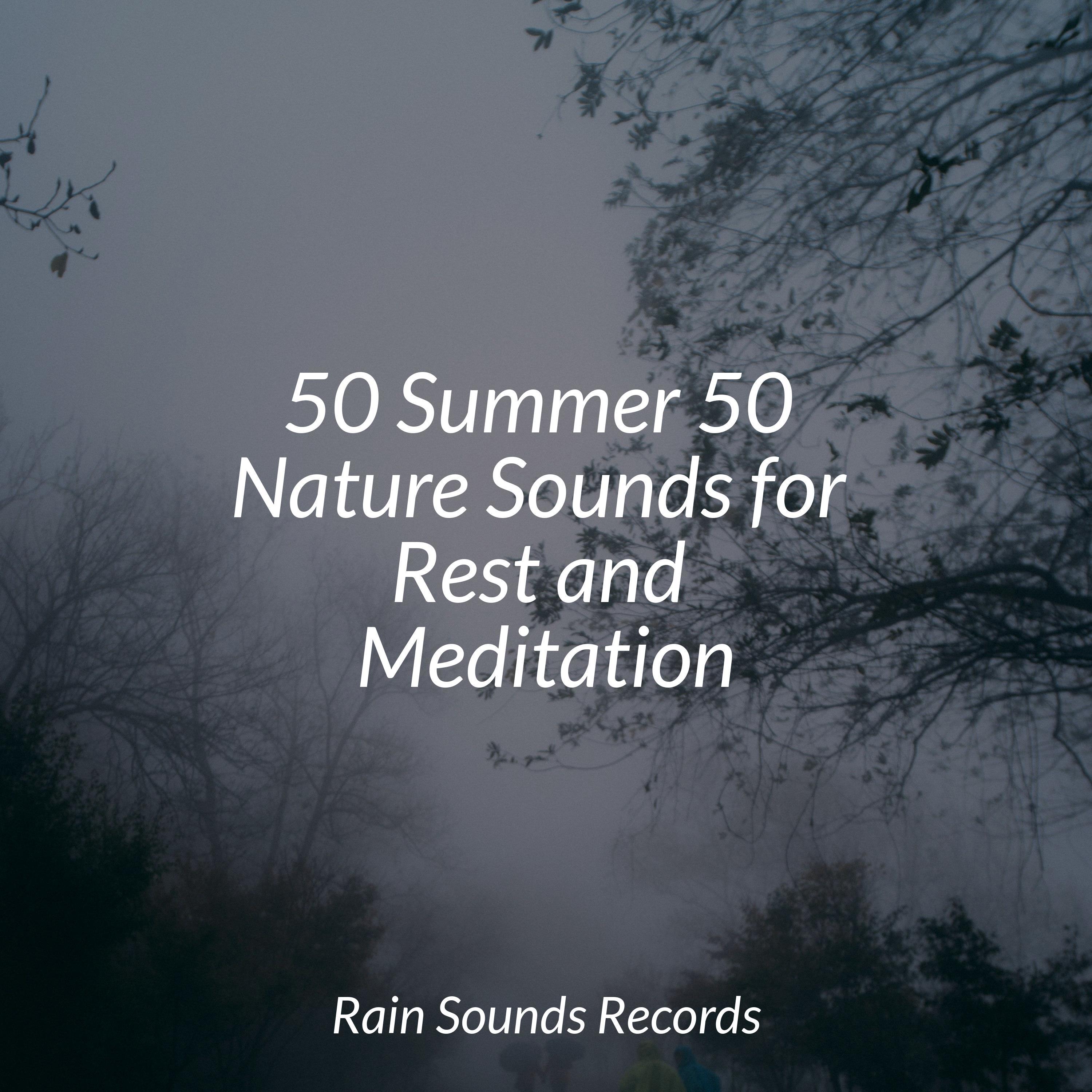 Torrential Melancholy Drift - Relaxing Spa Music/Pro Sound Effects ...