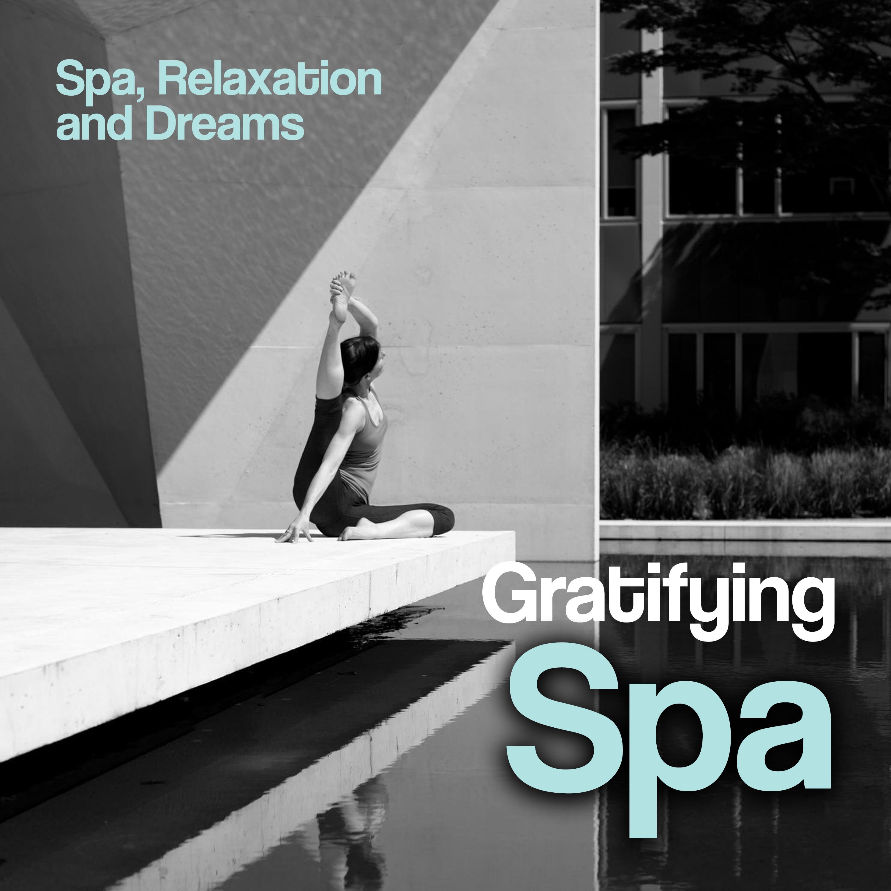 Flying in the Breeze - Spa, Relaxation and Dreams - 单曲 - 网易云音乐