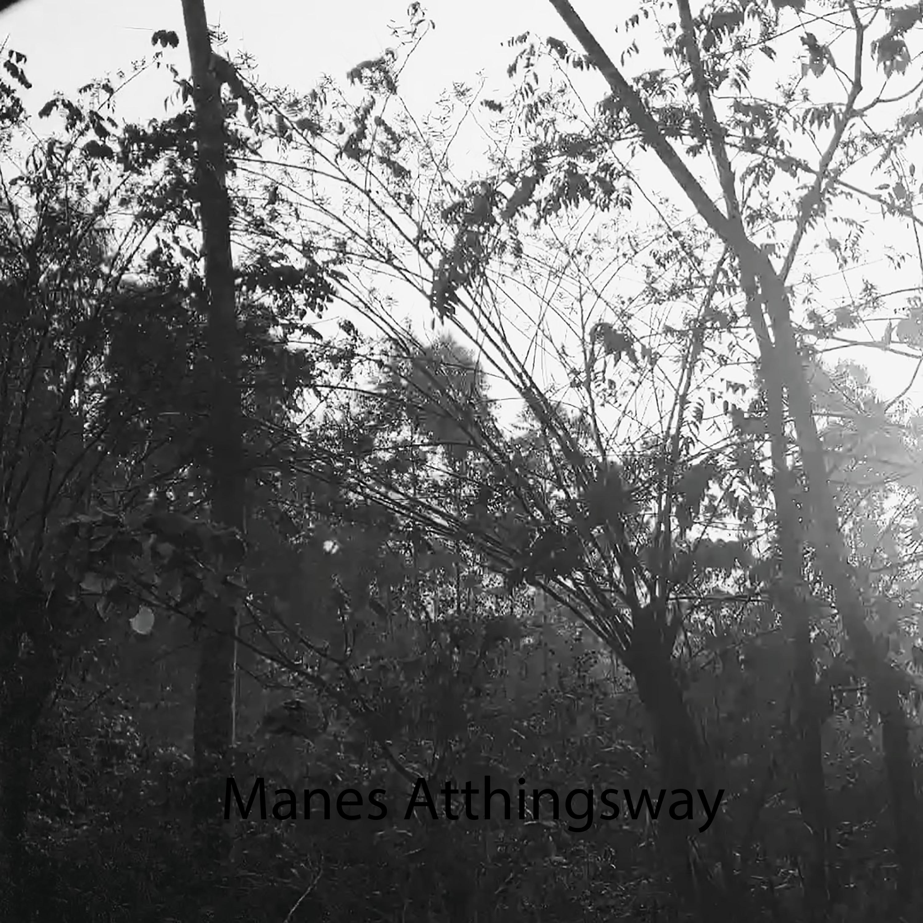The King Of The Spirit Land - Manes Atthingsway (feat. Phùng Anh Tuấn ...