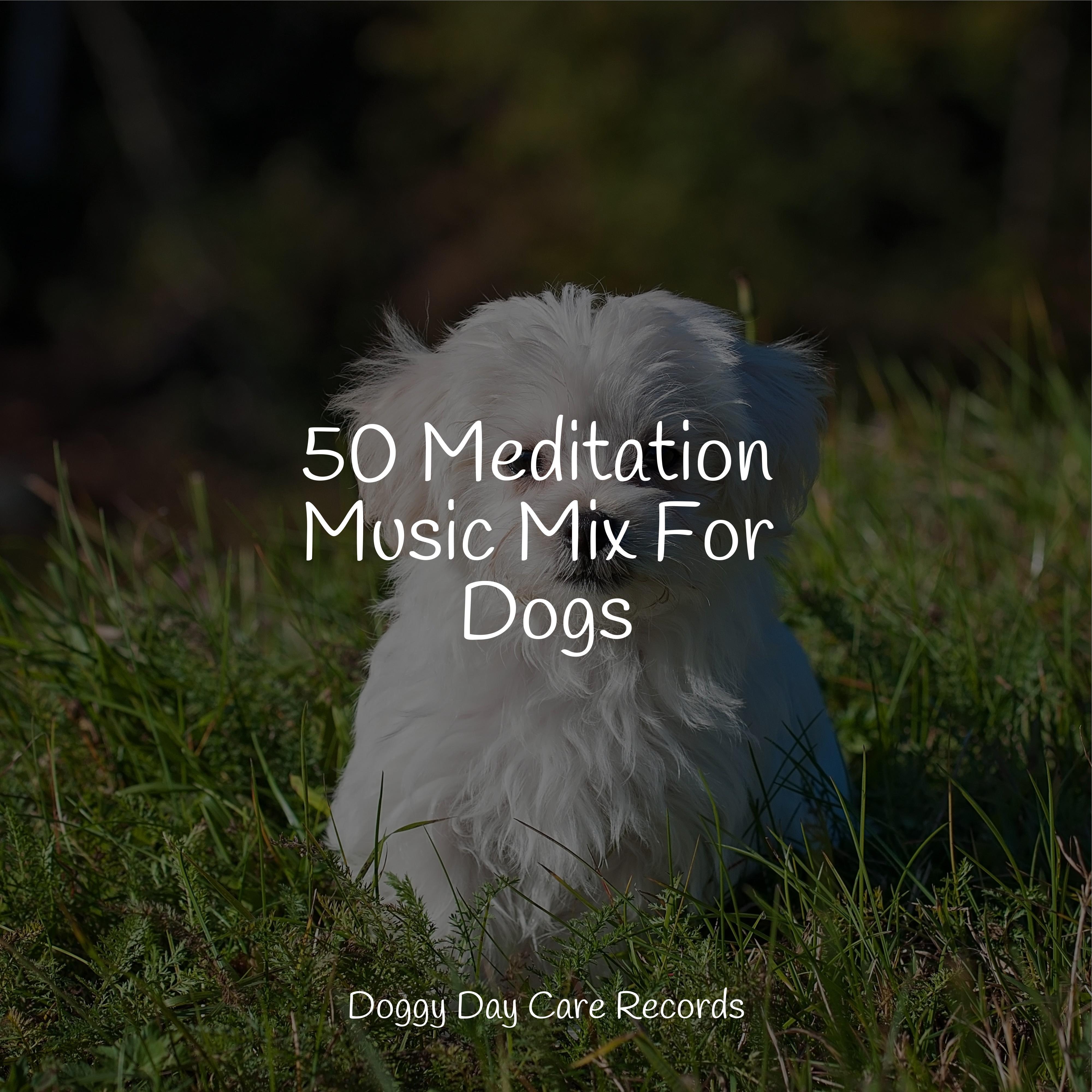Sleepy Head - Dog Music/Music for Pets Library/Relaxing Music for Dogs ...