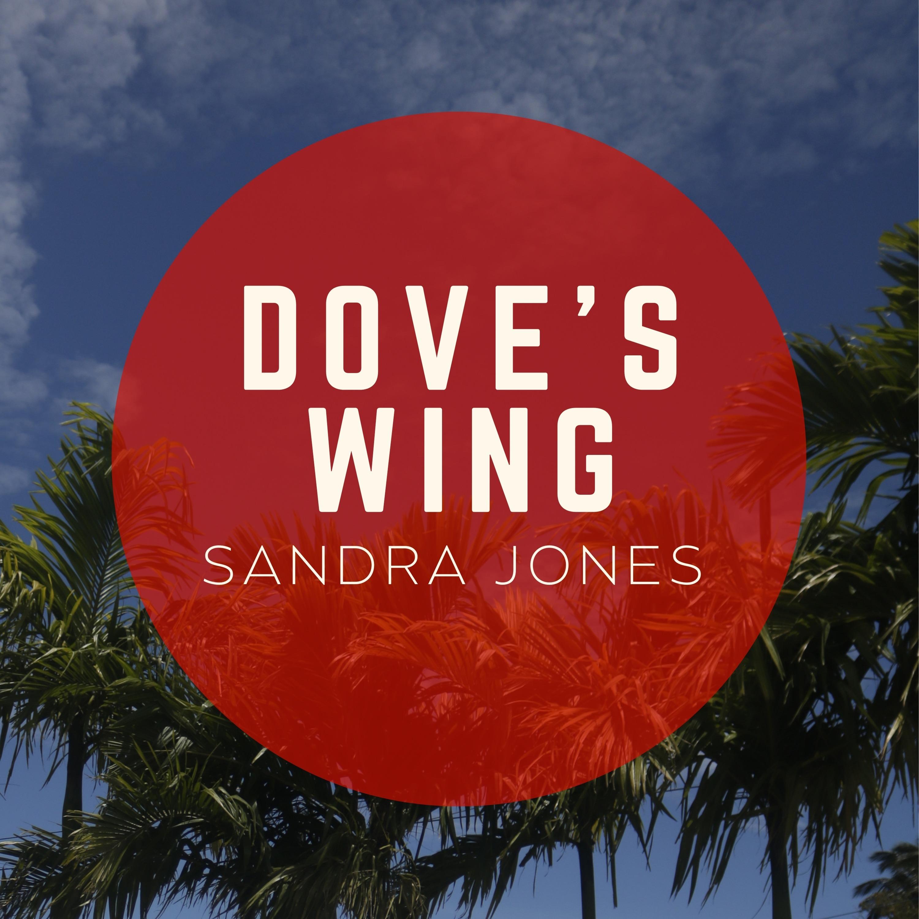 Dove’s Wing - SANDRA JONES - 单曲 - 网易云音乐