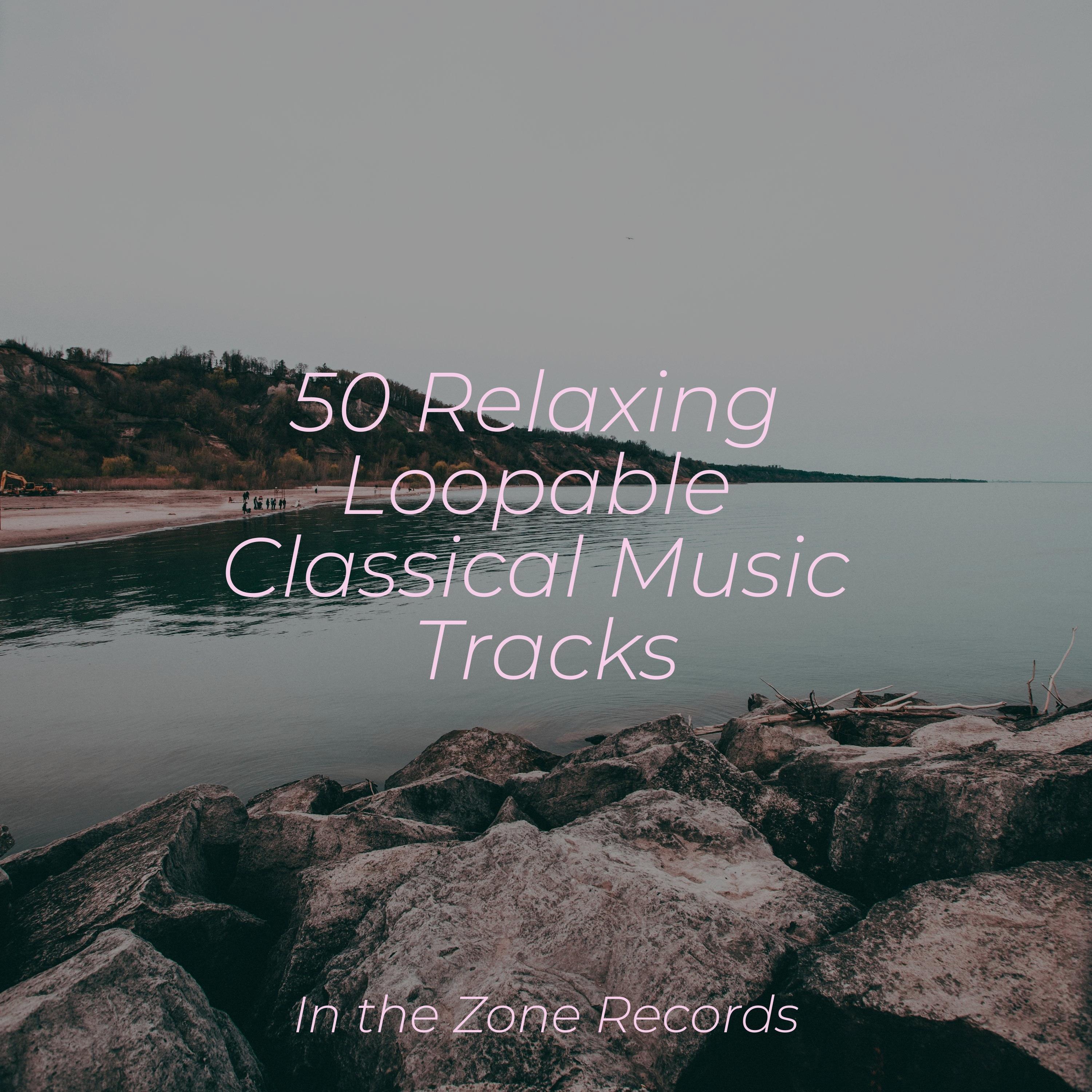 50 Relaxing Loopable Classical Music Tracks - Dog Music - 专辑 - 网易云音乐