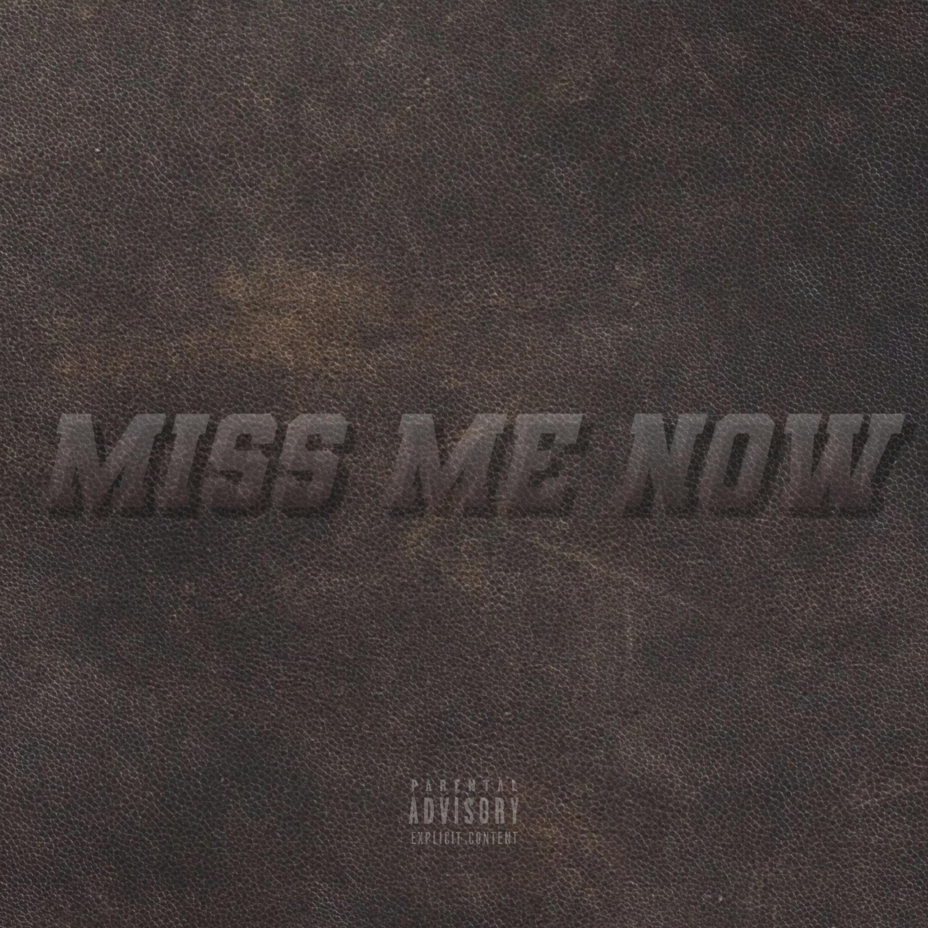 Miss Me Now - SmokeforNicky/Drizzy Tae - 单曲 - 网易云音乐