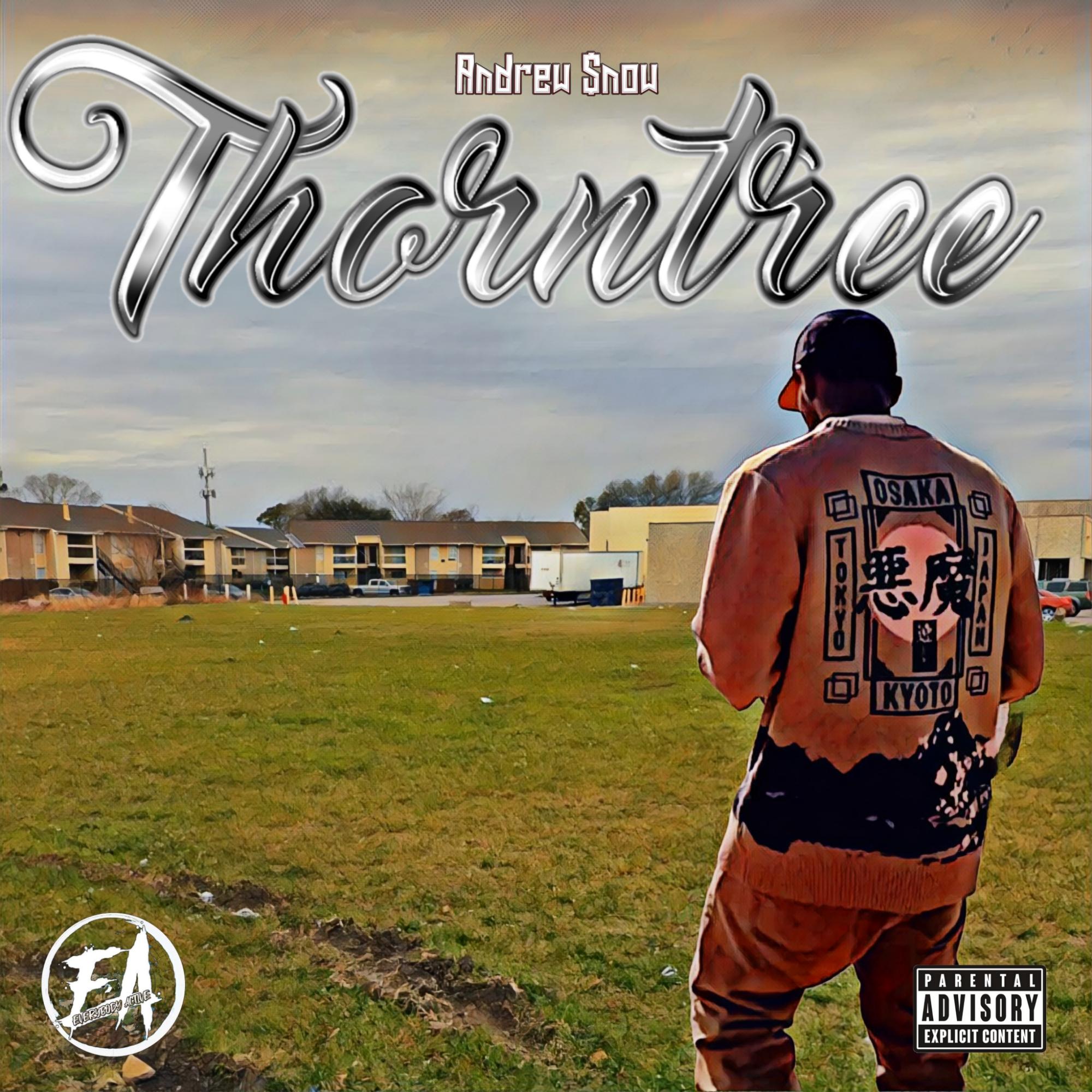 Every Morning - Andrew $now - 单曲 - 网易云音乐