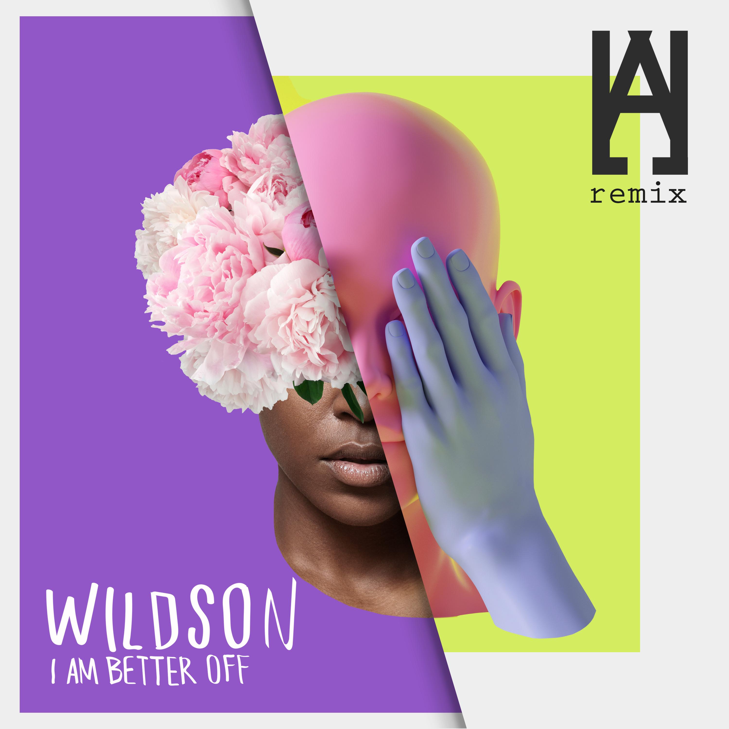 I Am Better Off (Hallman Remix) (Instrumental Version) - Wildson - 单曲 ...