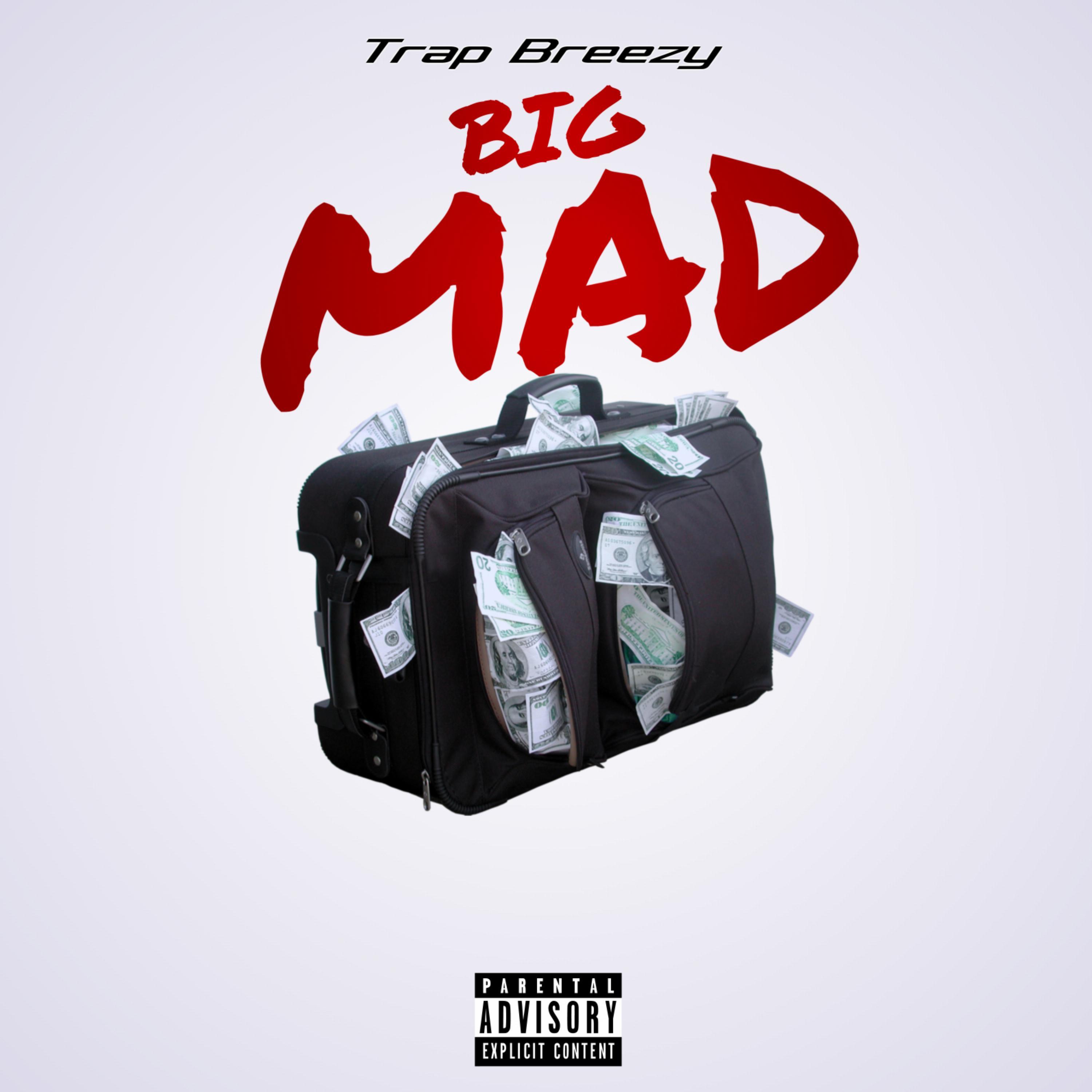 BIG MAD - Trap Breezy - 专辑 - 网易云音乐